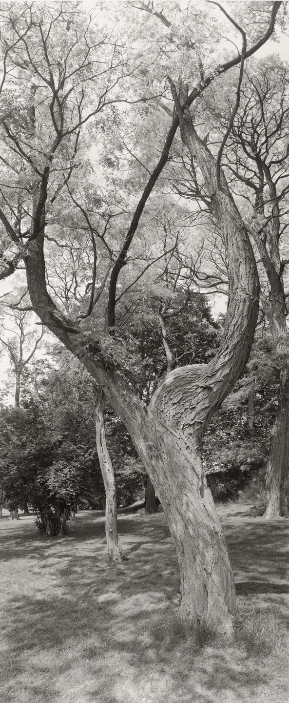 Geoffrey James. Untitled, Long Island. 2005 | MoMA