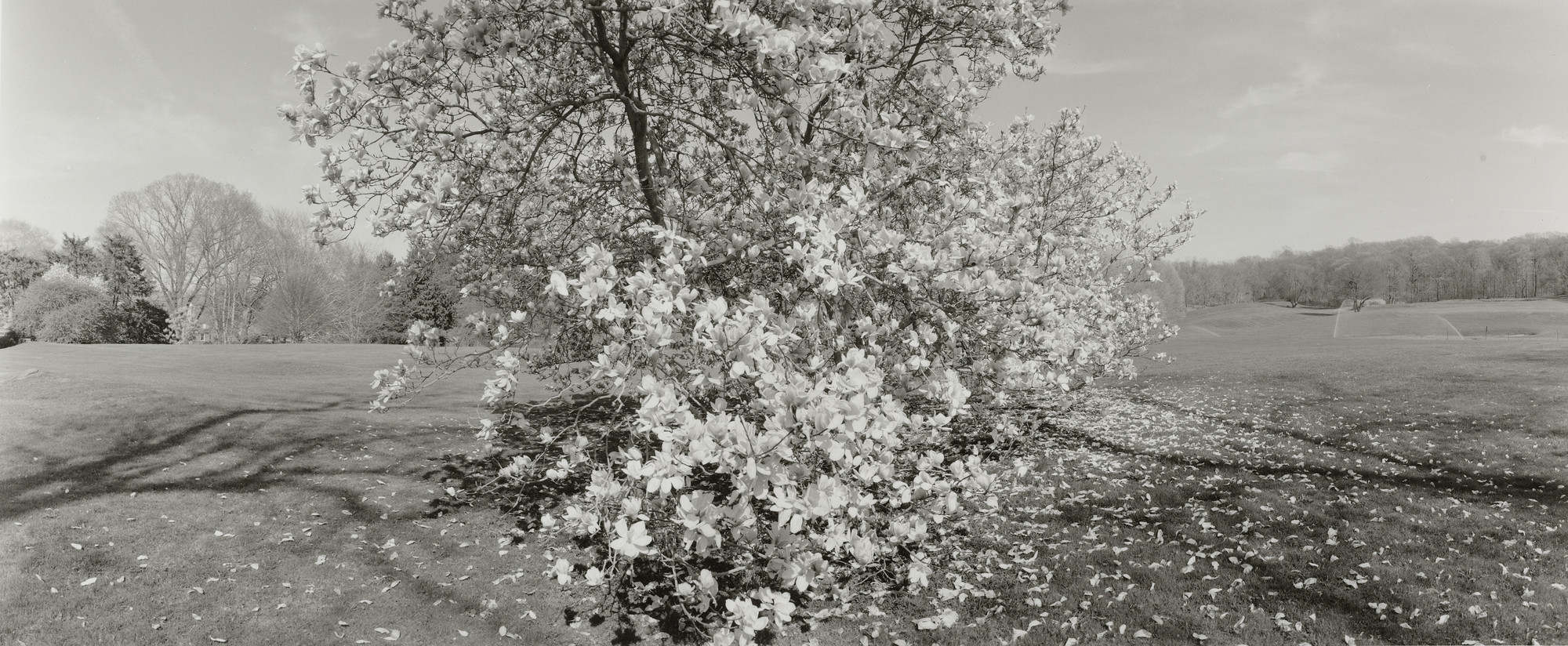 Geoffrey James. Untitled, Long Island. 2005 | MoMA