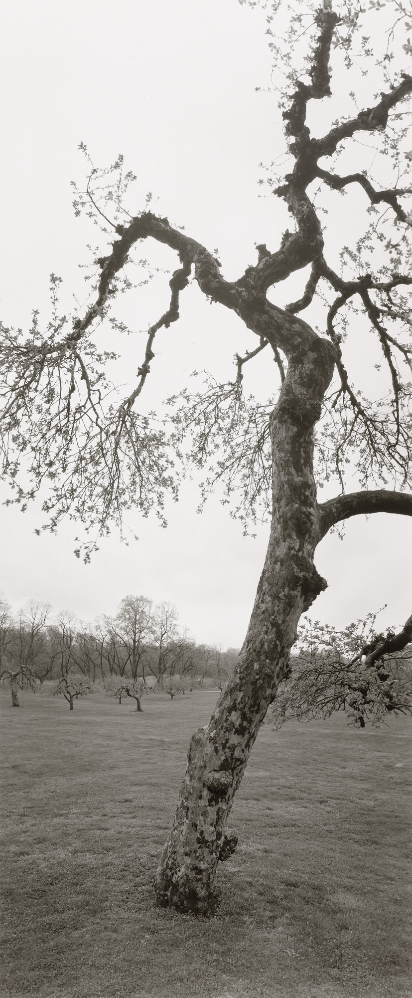 Geoffrey James. Untitled, Long Island. 2005 | MoMA