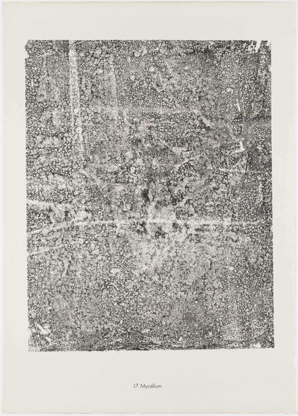 Jean Dubuffet. Mycellium (Mycélium) from the portfolio Textures from ...