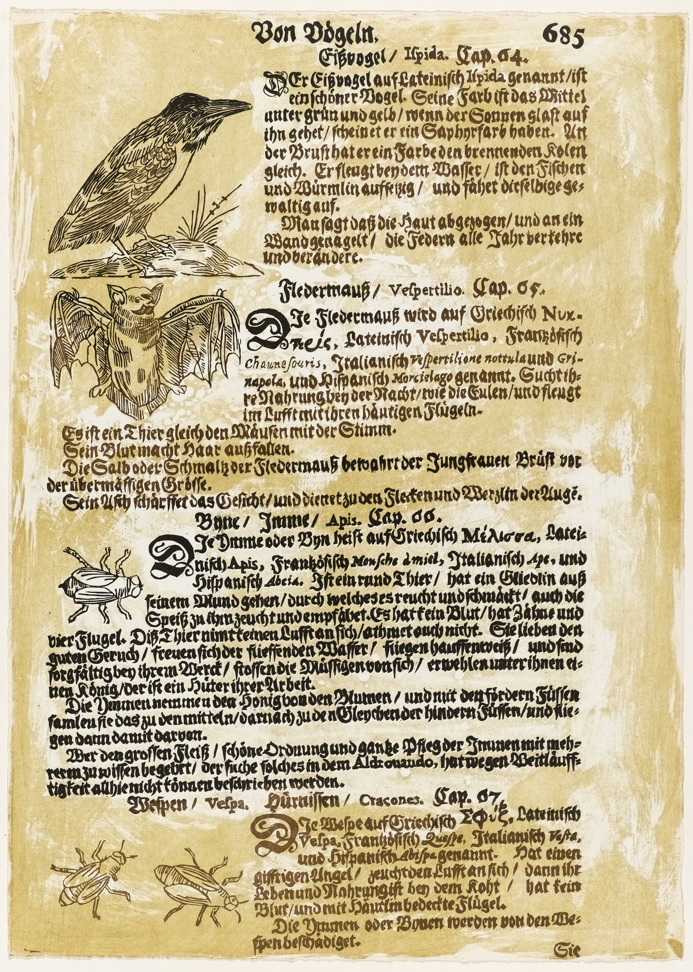 Oswald Michel. In-text plate (folio 2) from The Bee (Die Biene). 1966 ...