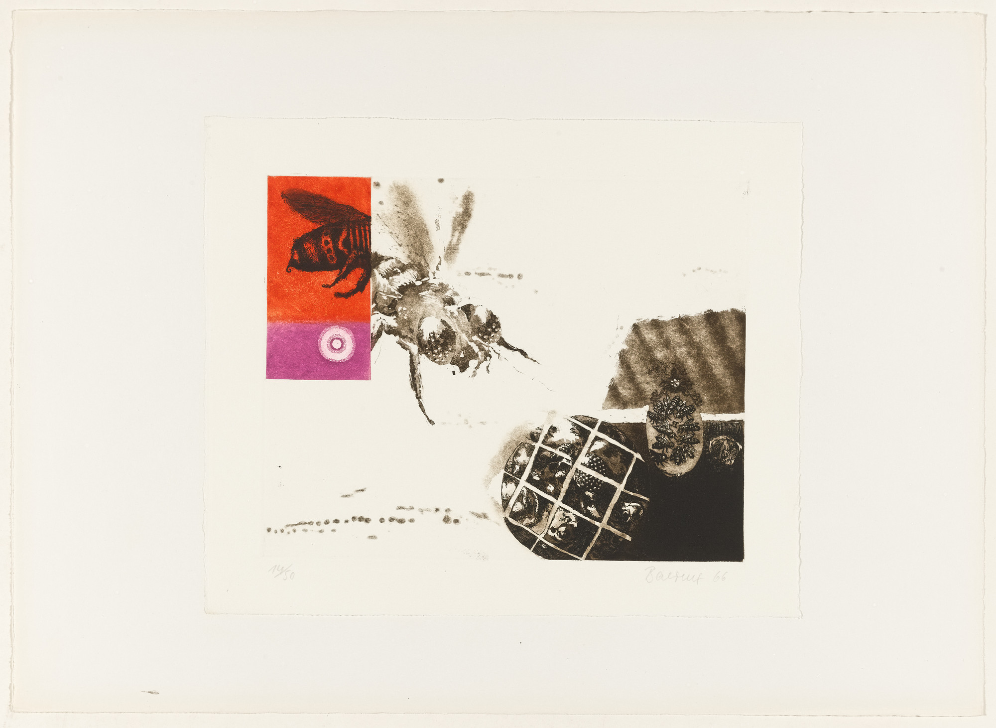Horst B. Baerenz. Plate (folio 3) from The Bee (Die Biene). 1966 | MoMA