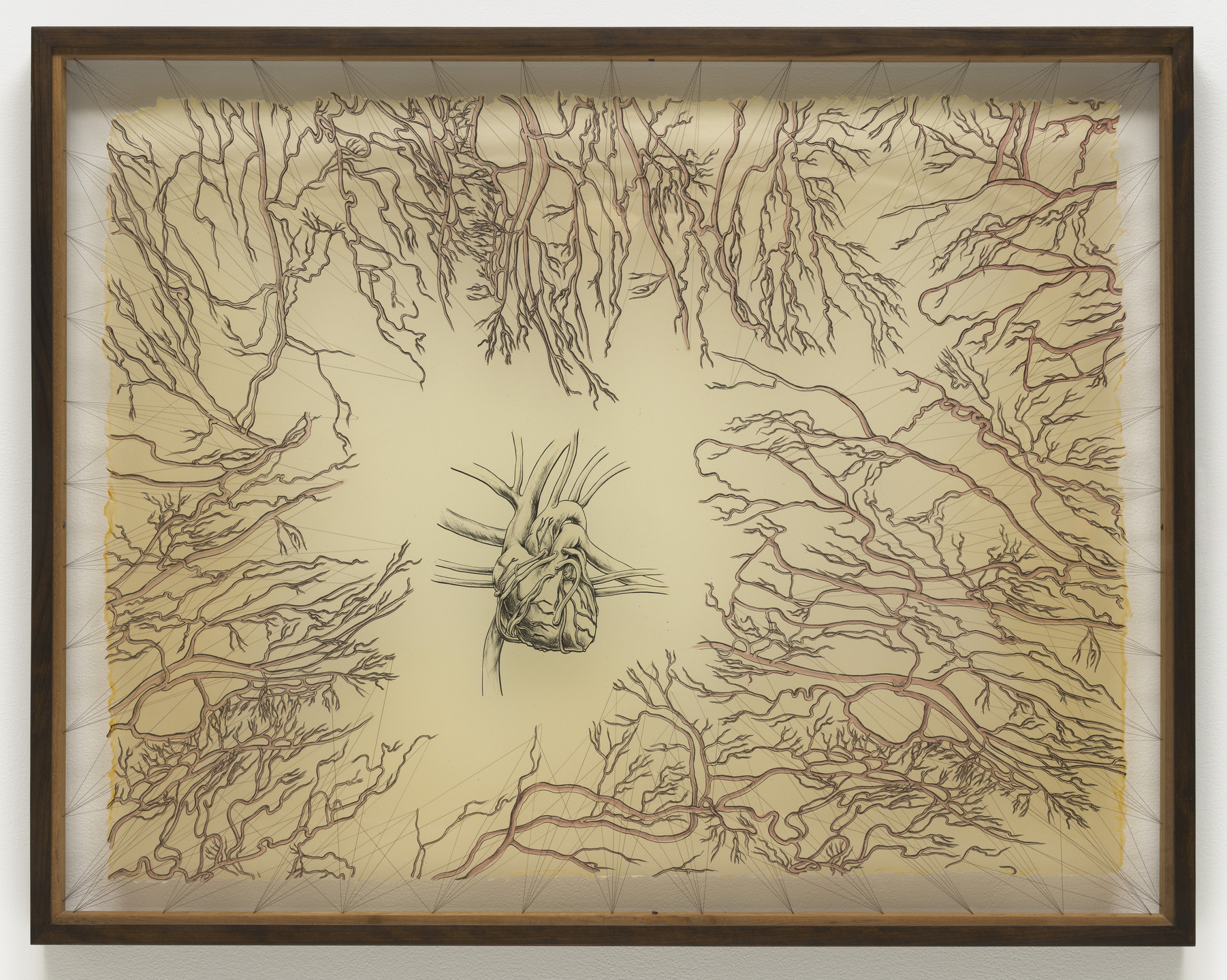 Tabaimo. show through II. 2009 | MoMA