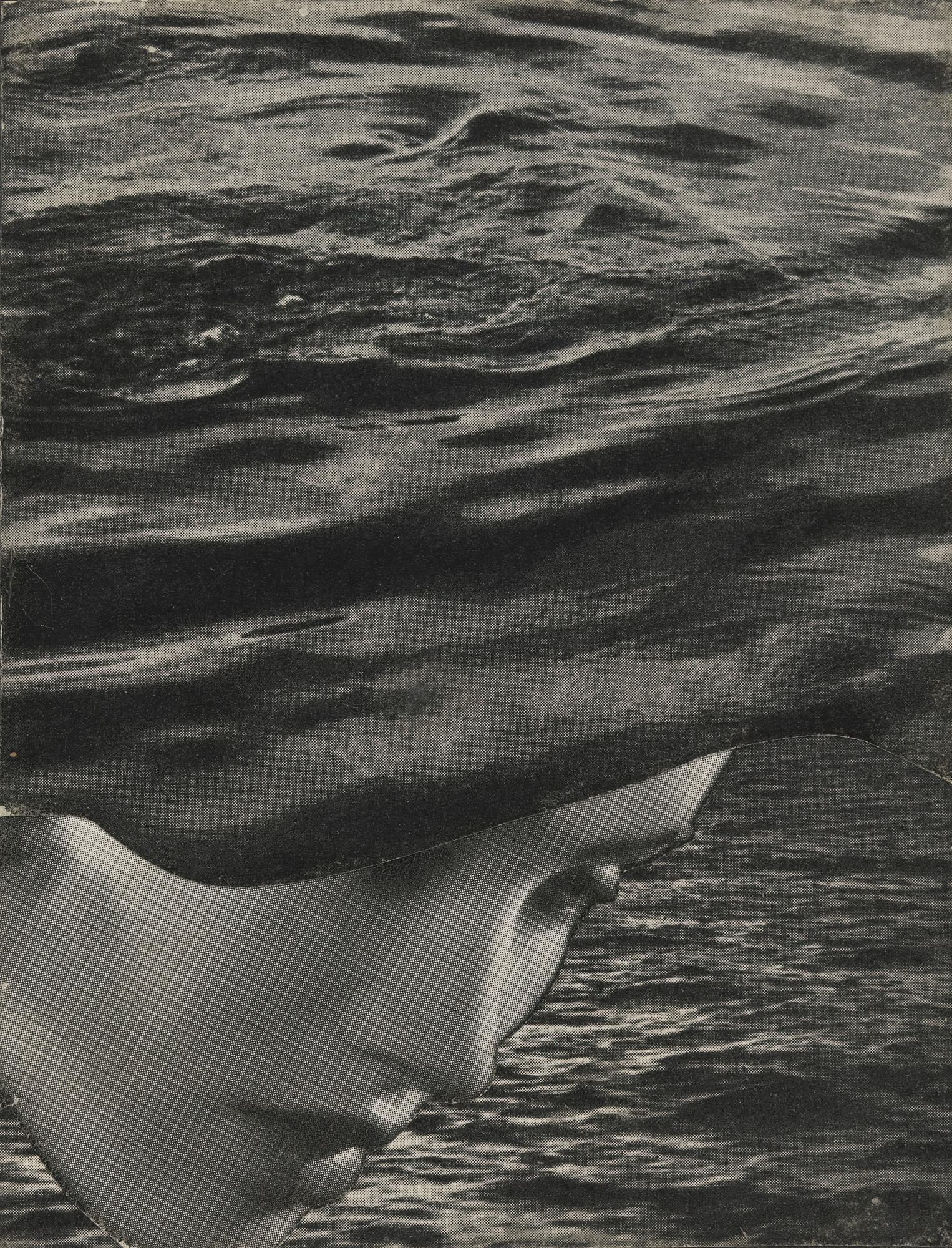 Joseph Cornell | MoMA