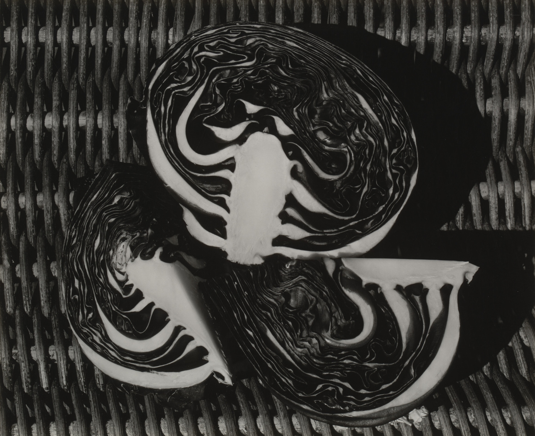 Edward Weston. Cabbage. 1936 | MoMA