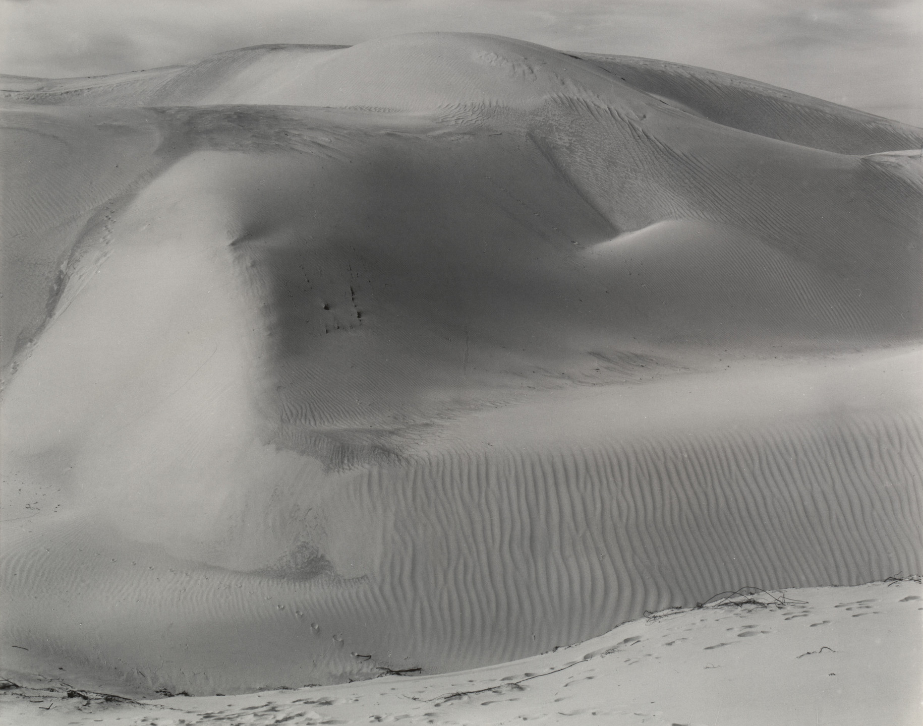 Edward Weston. Dunes, Oceano. 1936 | MoMA