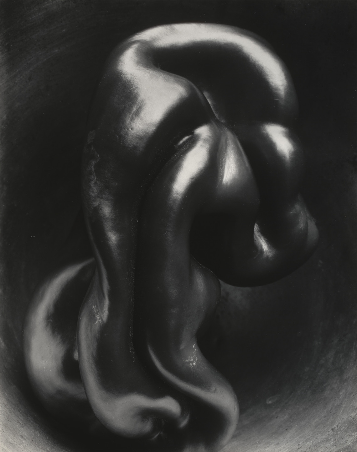 Edward Weston. Pepper. 1930 | MoMA