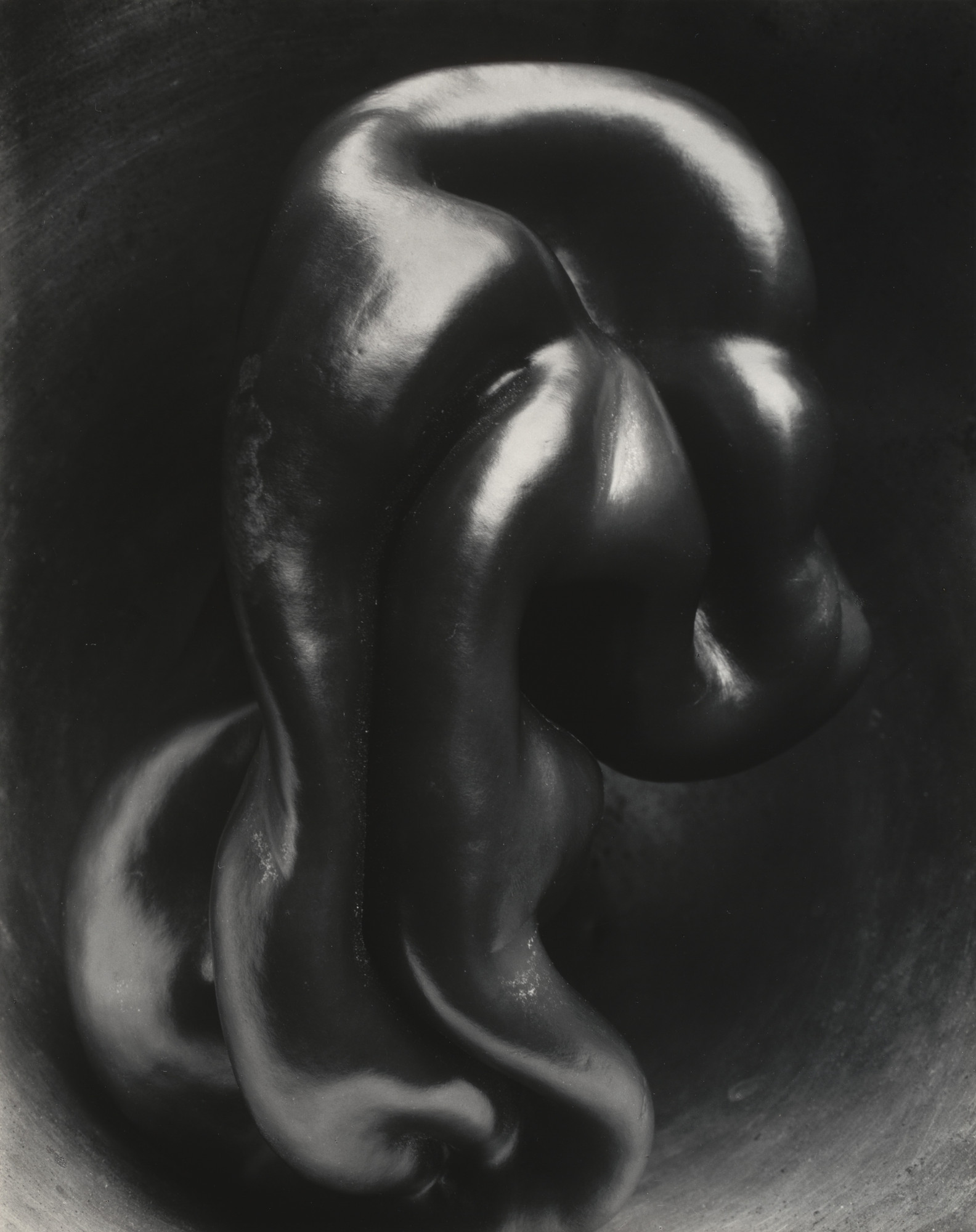 Edward Weston. Pepper. 1930 | MoMA