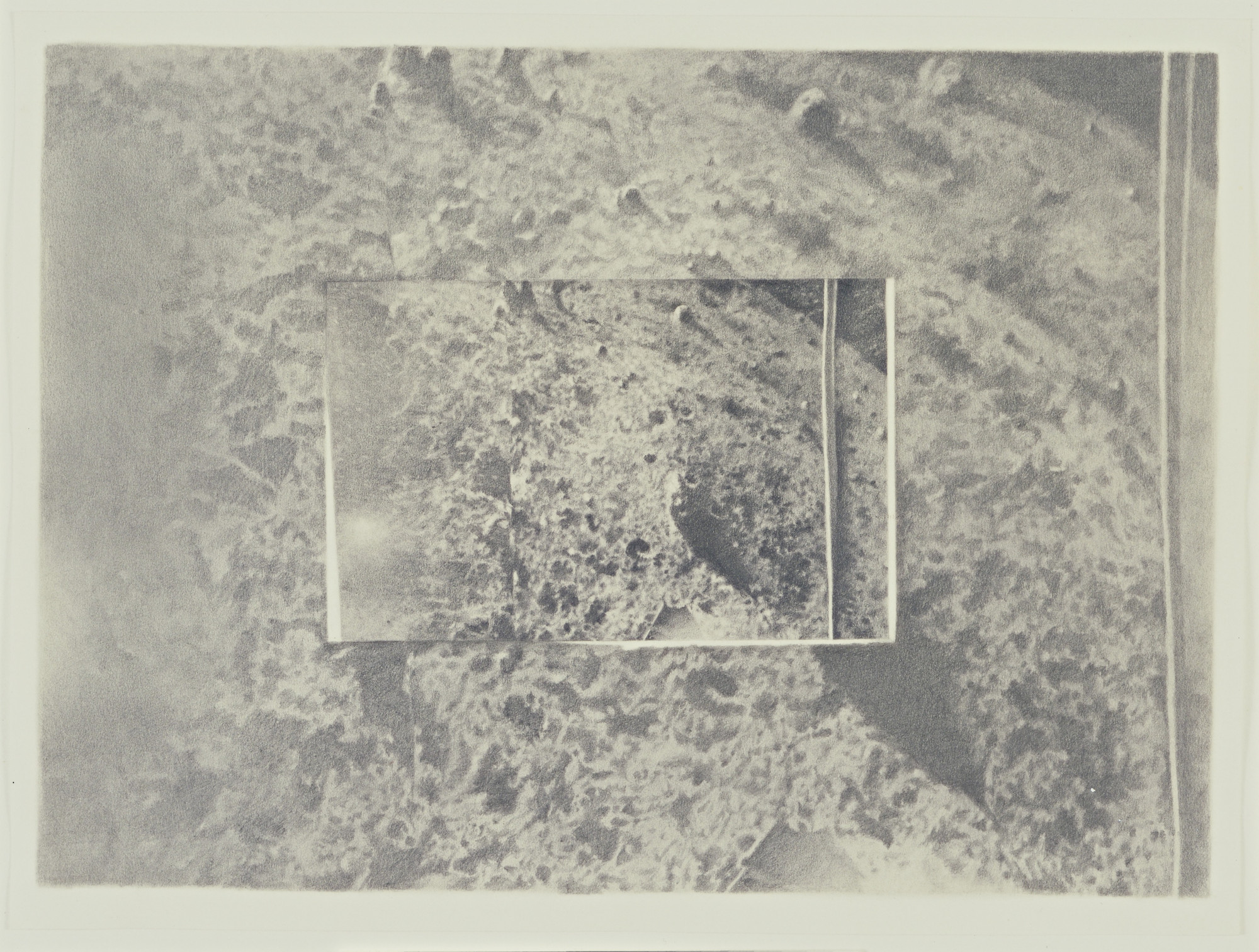 Vija Celmins | MoMA