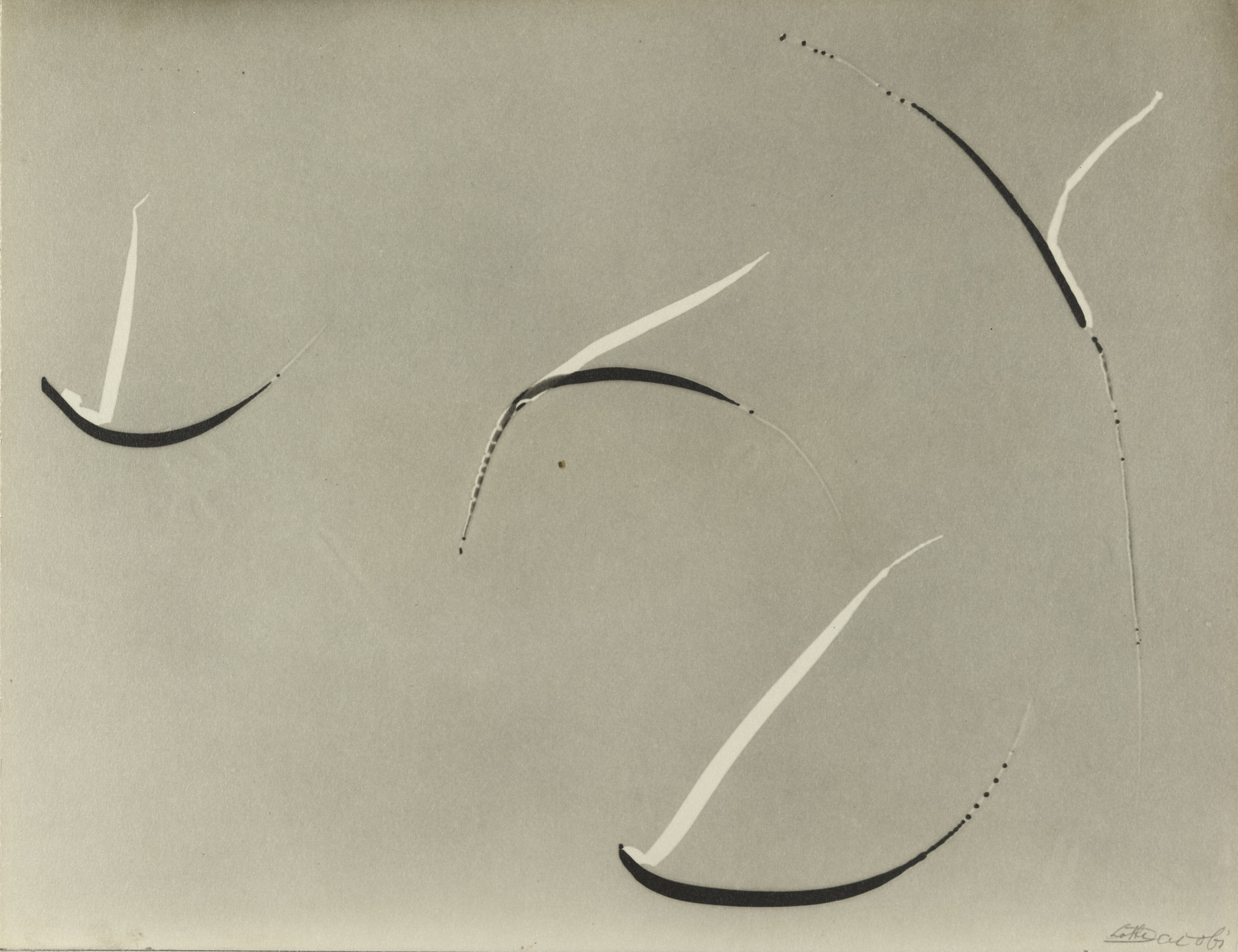 Lotte Jacobi. Photogenics #254. c. 1950 | MoMA