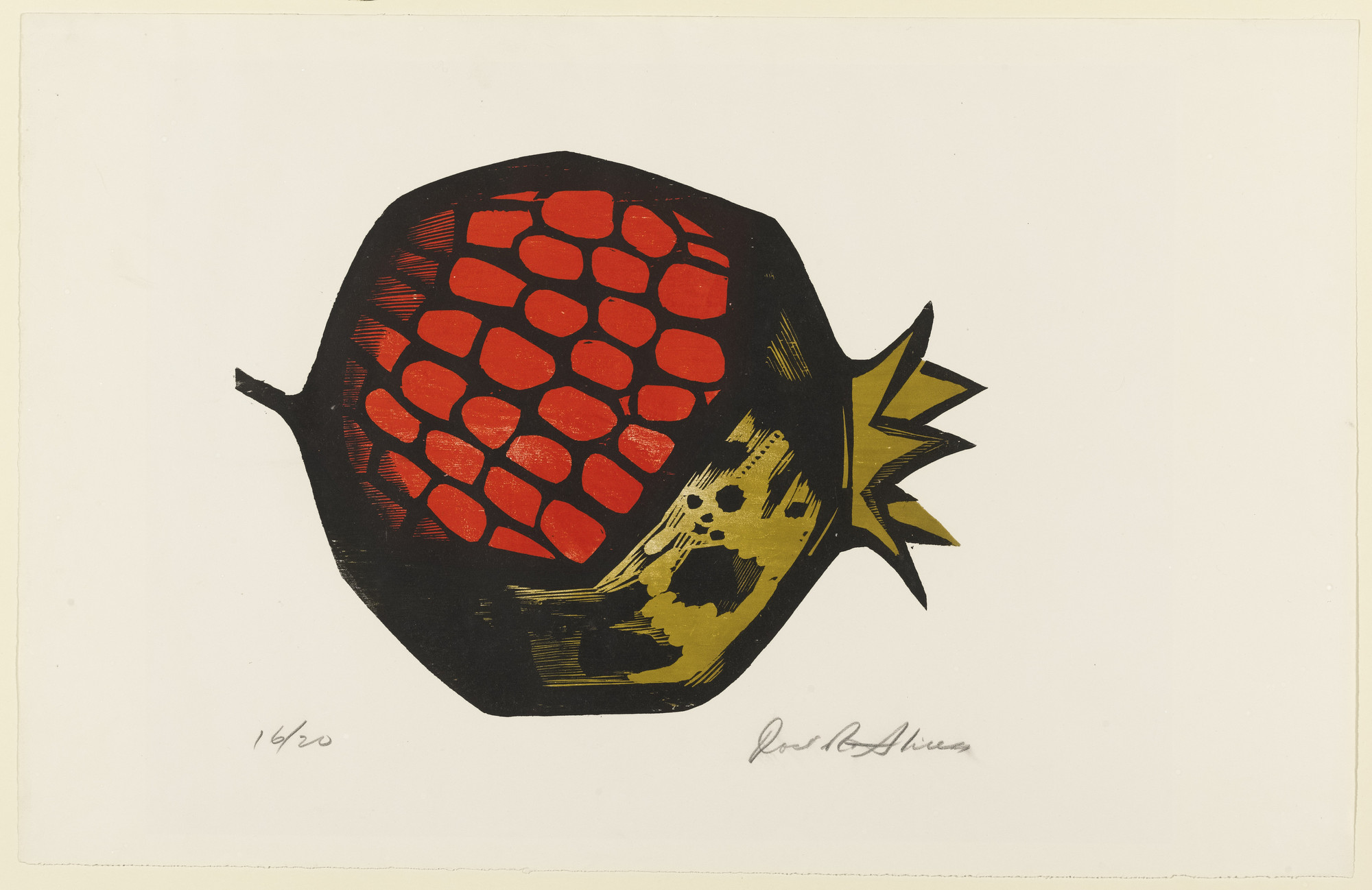 José R. Alicea | MoMA