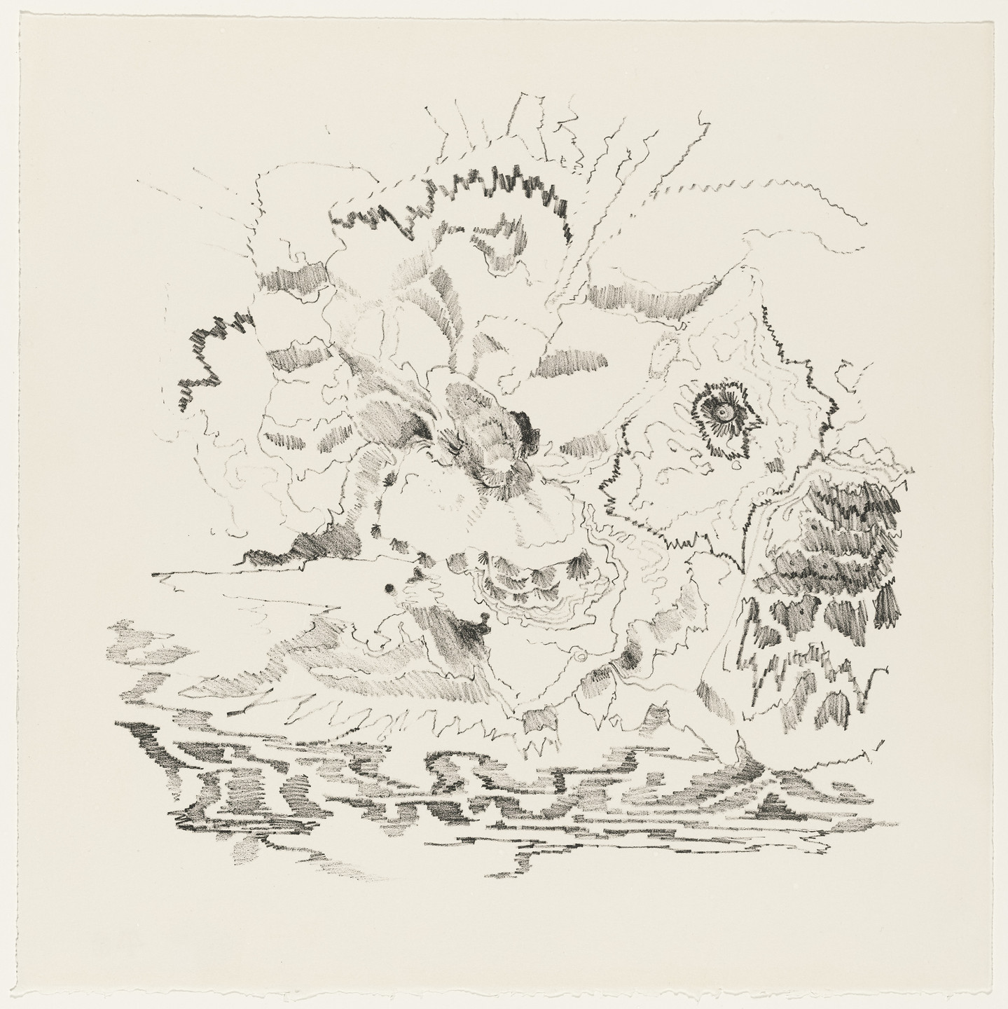 Bruce Conner. Landscape. 1965 | MoMA