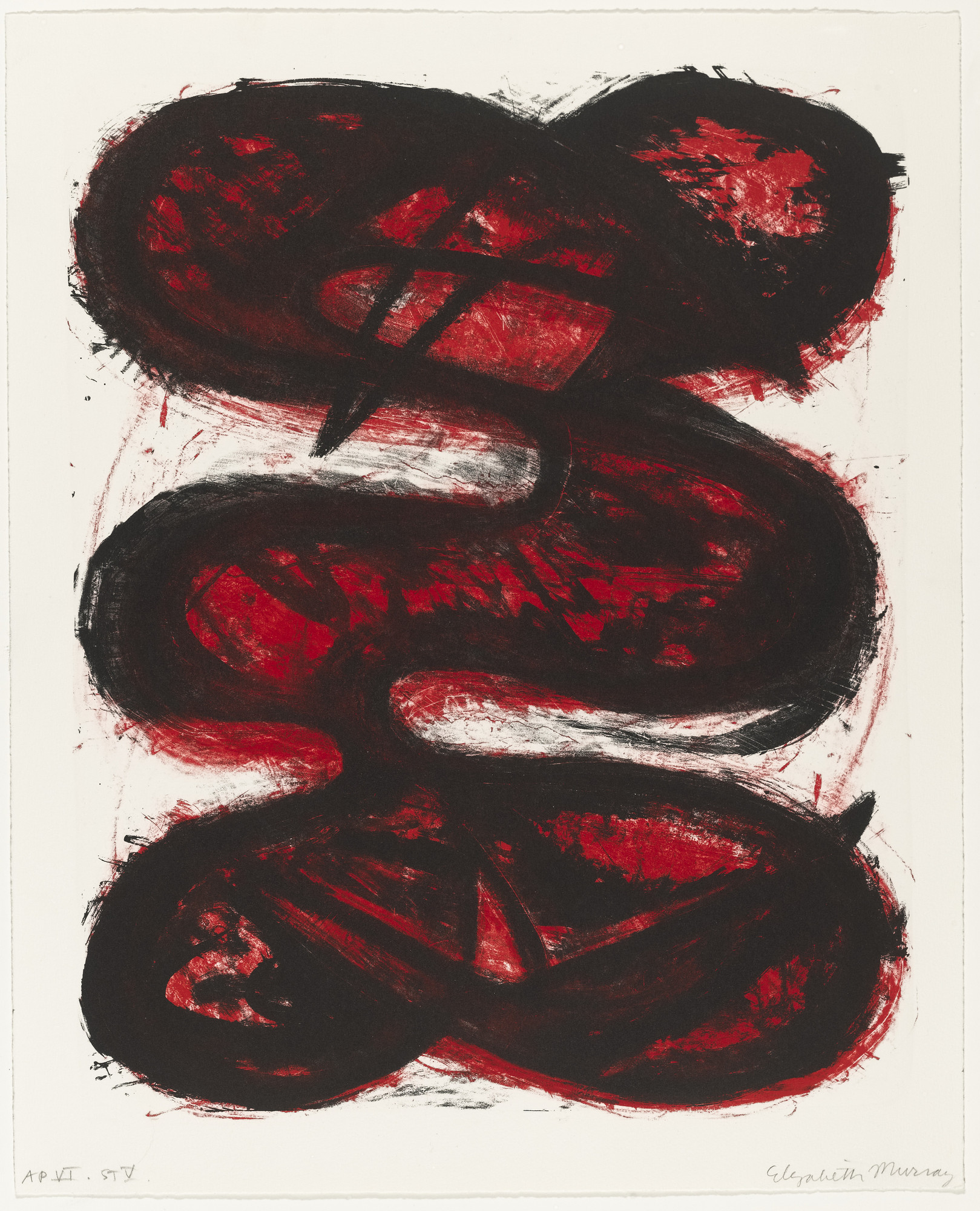 Elizabeth Murray | MoMA