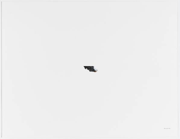 Walid Raad | MoMA