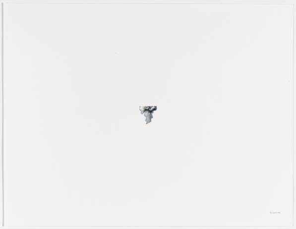 Walid Raad | MoMA