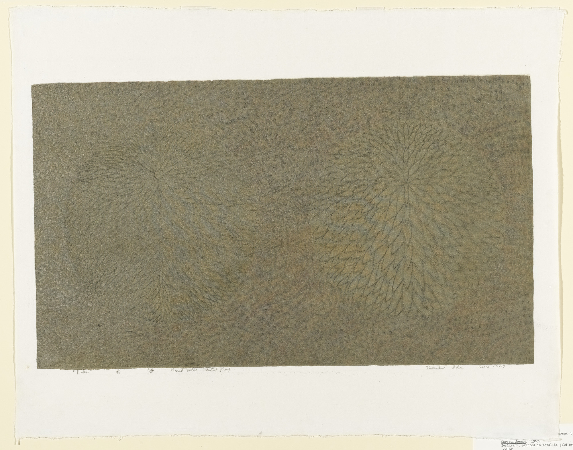 Sakiko Ide. Chrysanthemum. 1967 | MoMA