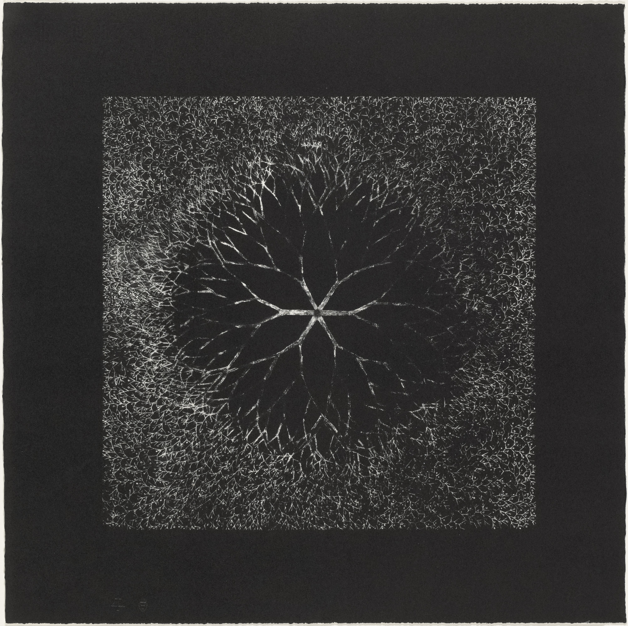 Ruth Asawa | MoMA