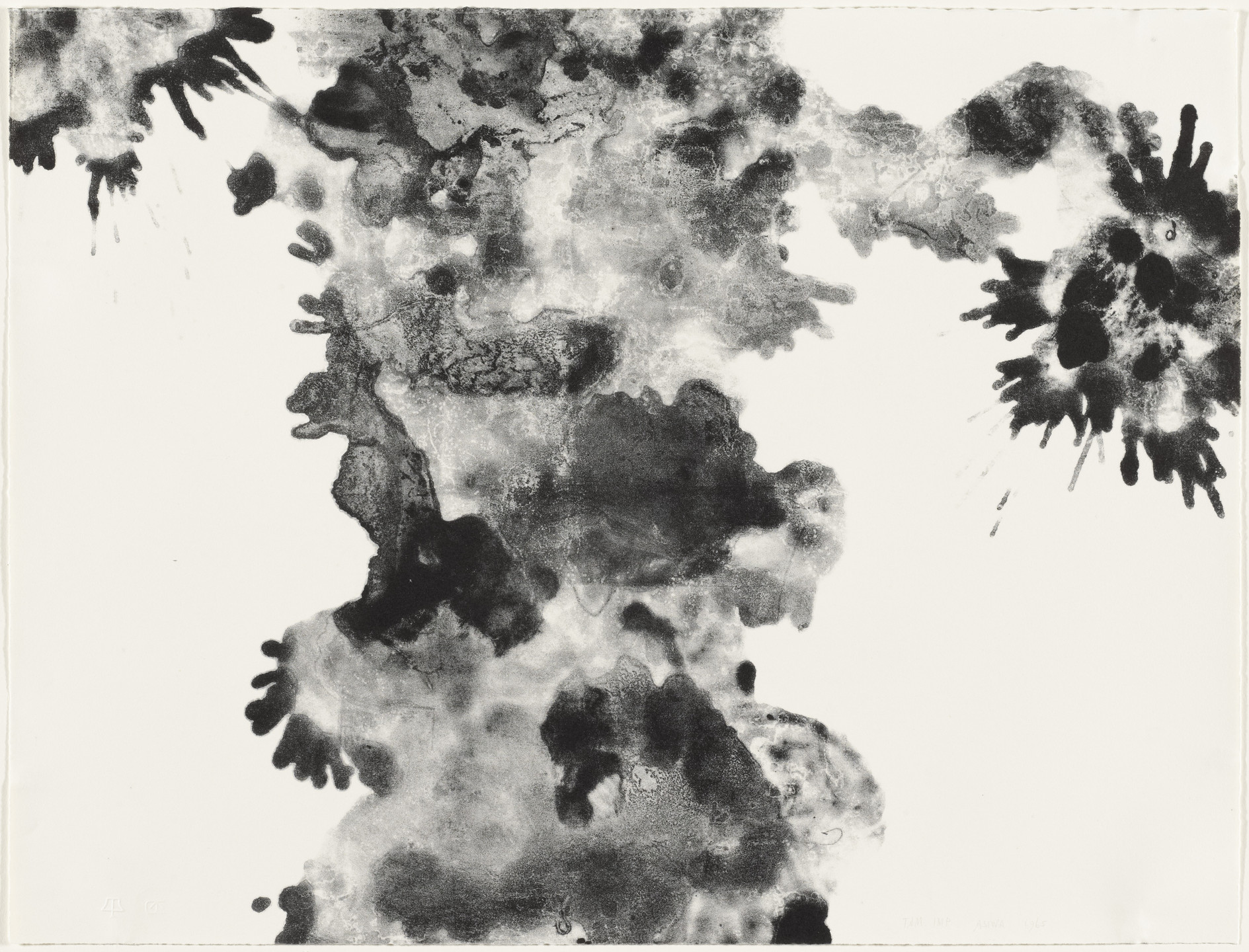 Ruth Asawa. Plane Trees. 1965 | MoMA