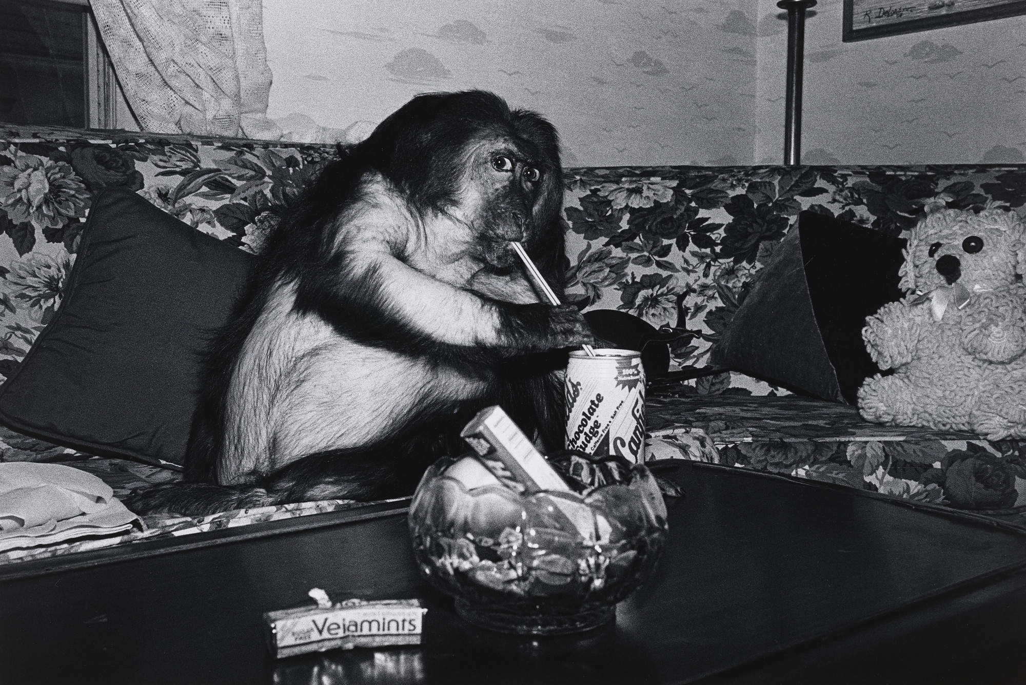 Robin Schwartz. Minnie. 1989 | MoMA
