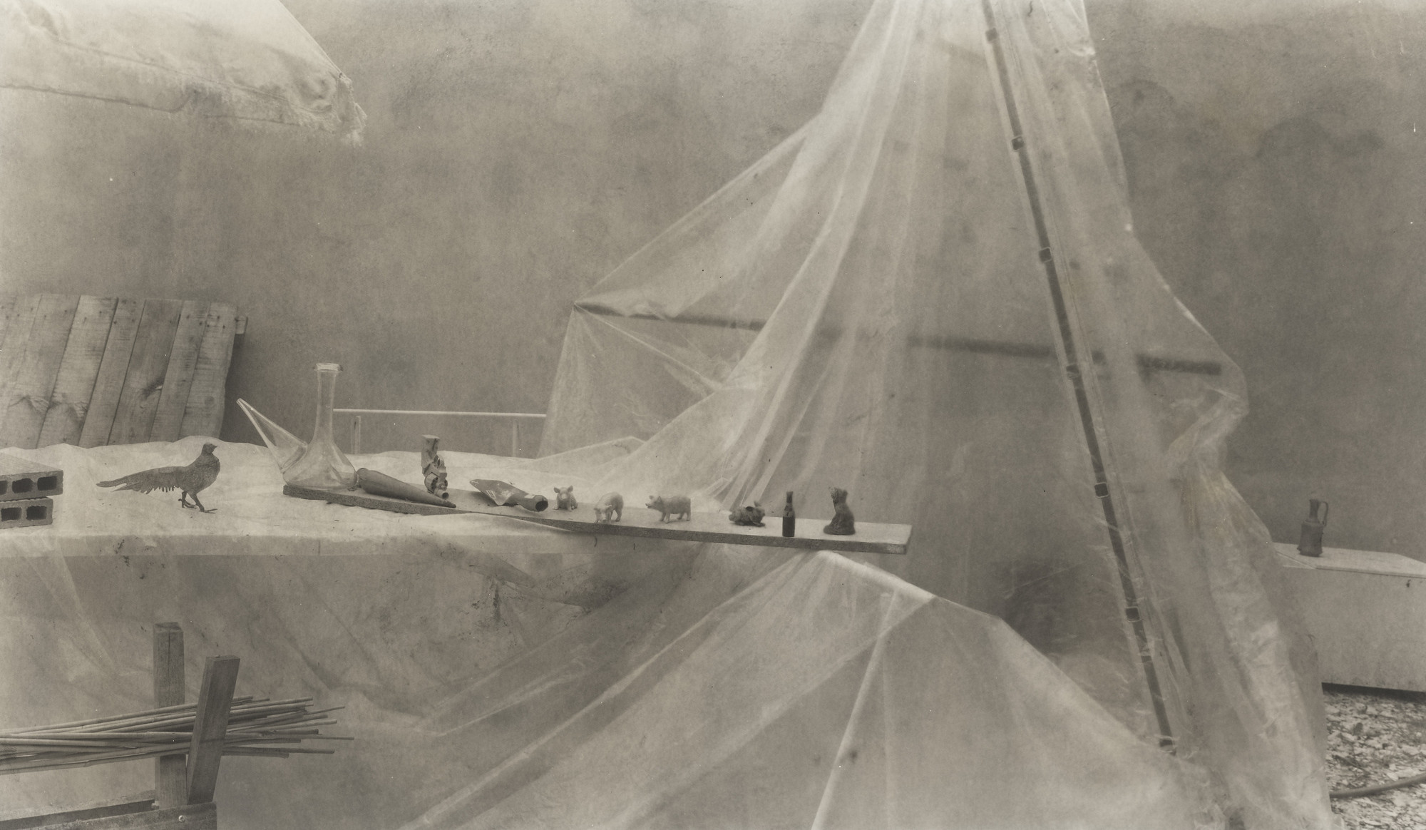 Jan Groover. Untitled. 1992 | MoMA