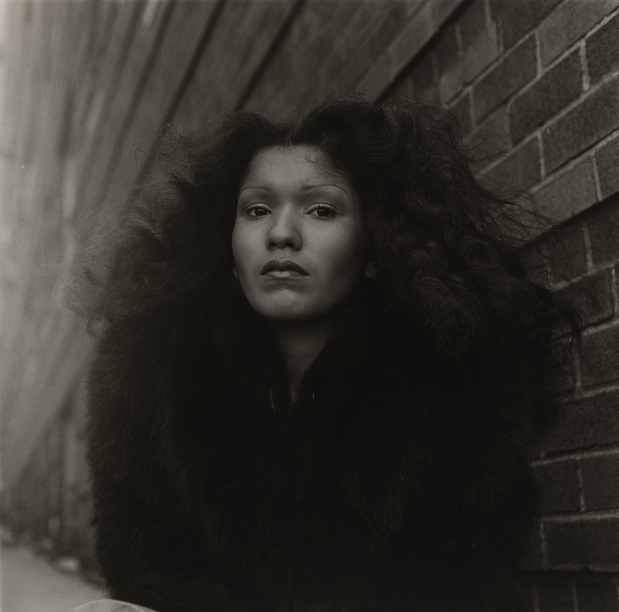 Steve Salmieri. Carmen. 1972 | MoMA