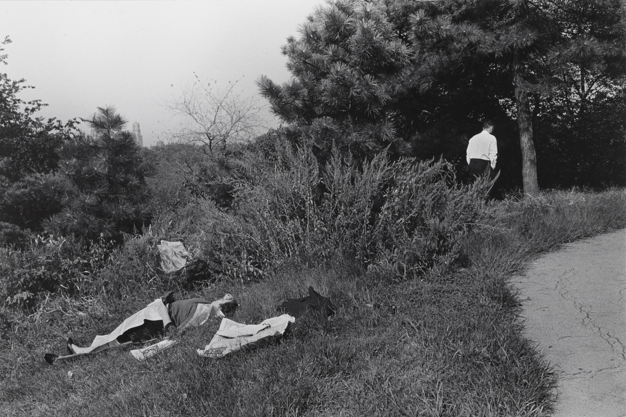 William B. Suttle | MoMA