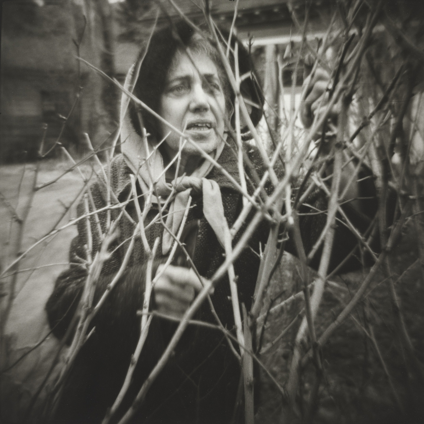 Bruce Horowitz. Rutgers Street, Woman Pruning the Shrubs. 1973 | MoMA