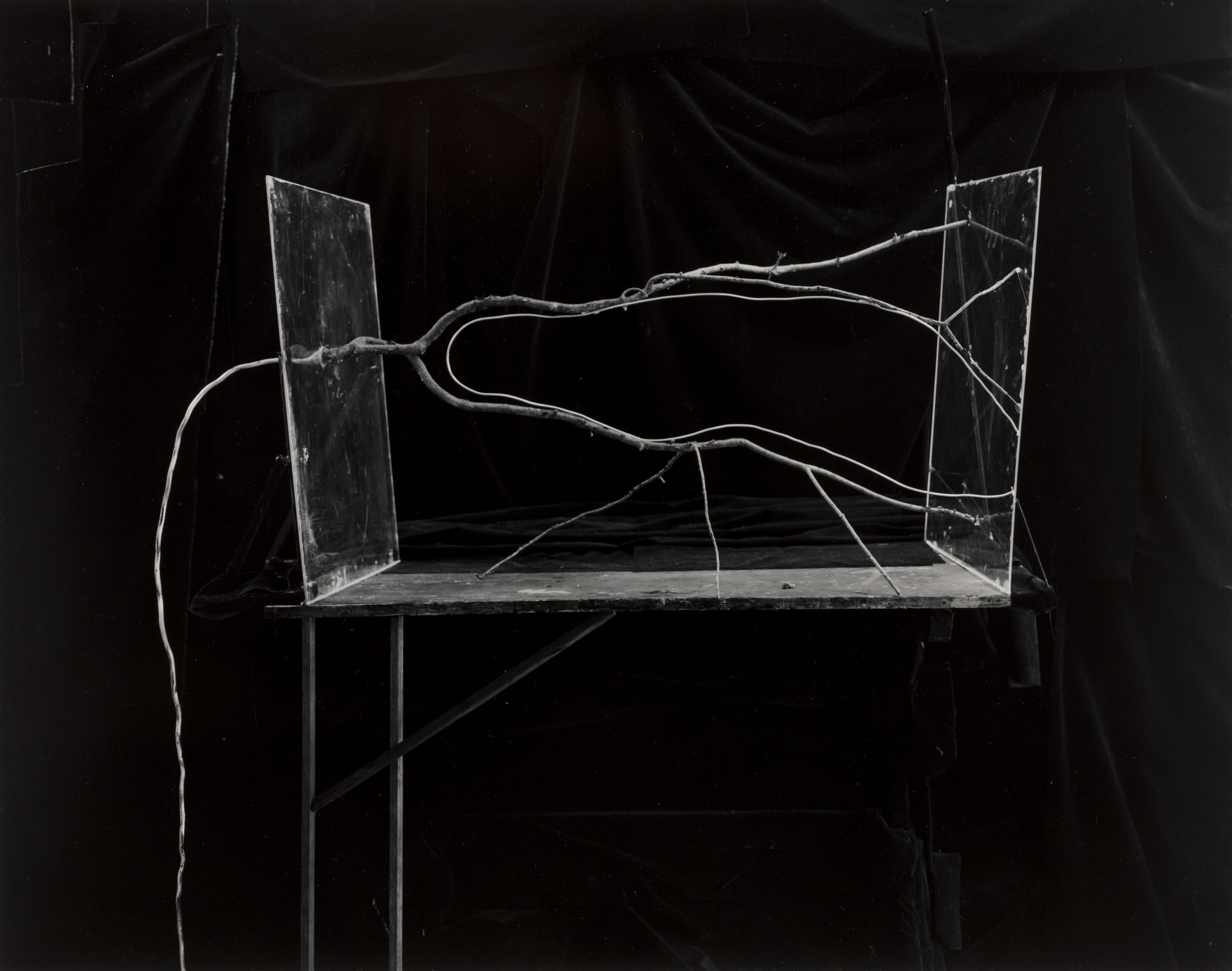 Zeke Berman. Untitled. 1987 | MoMA