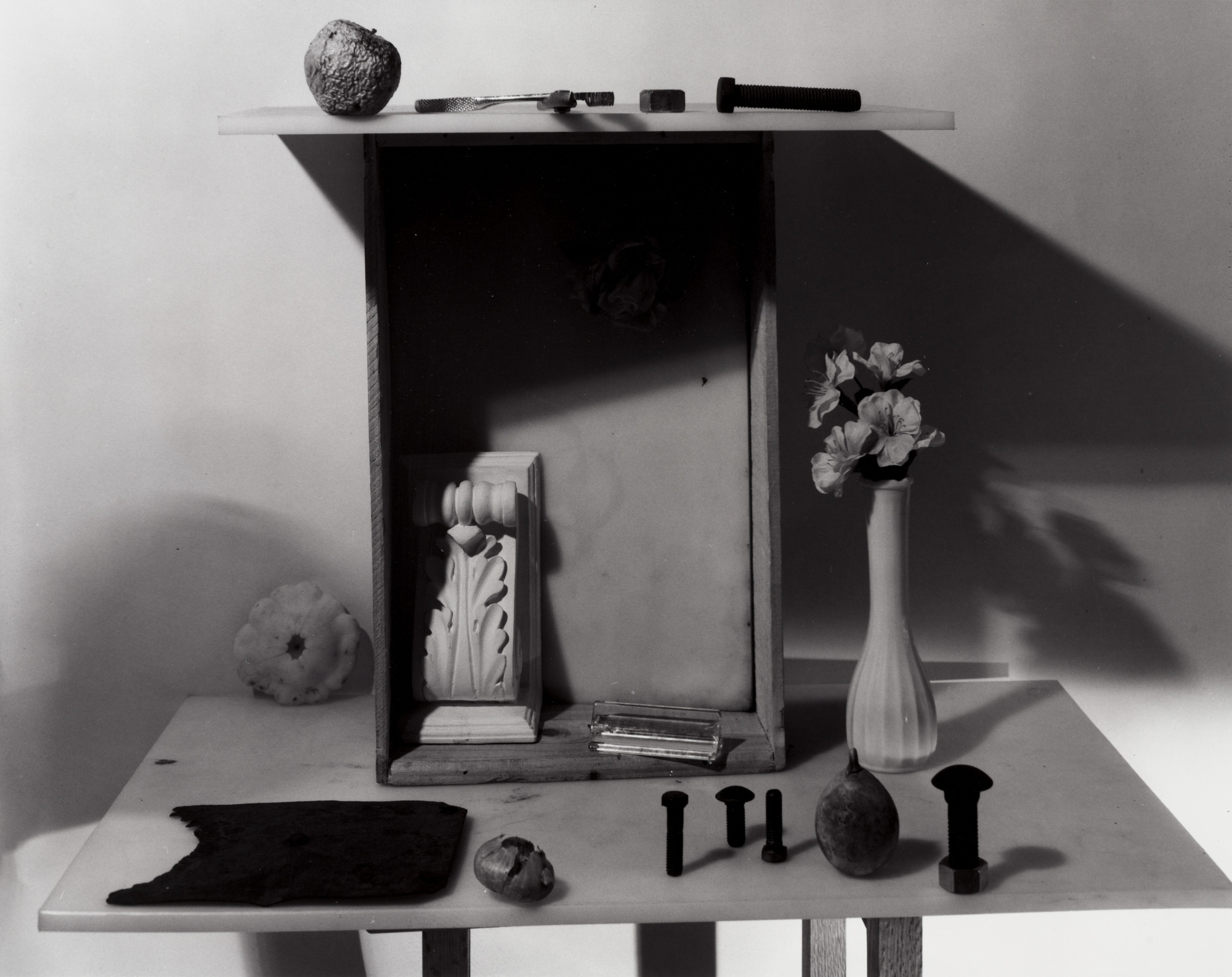 Jan Groover. Untitled. 1985 | MoMA