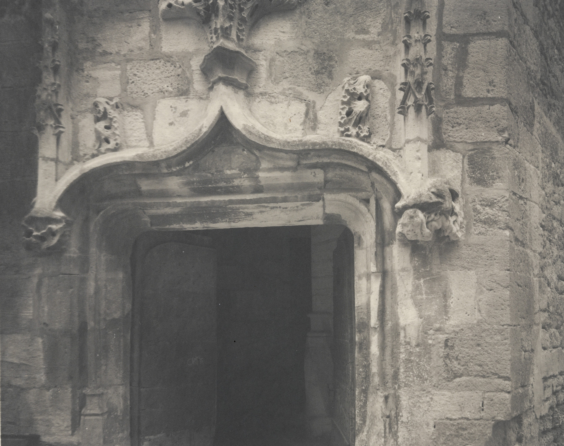 Jan Groover. Untitled. 1993 | MoMA