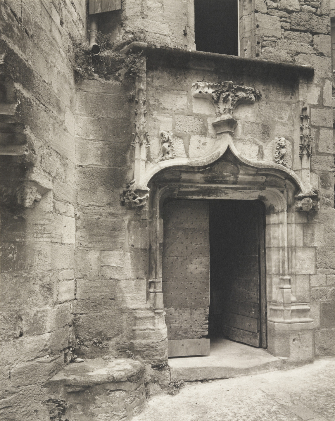 Jan Groover. Untitled. 1993 | MoMA