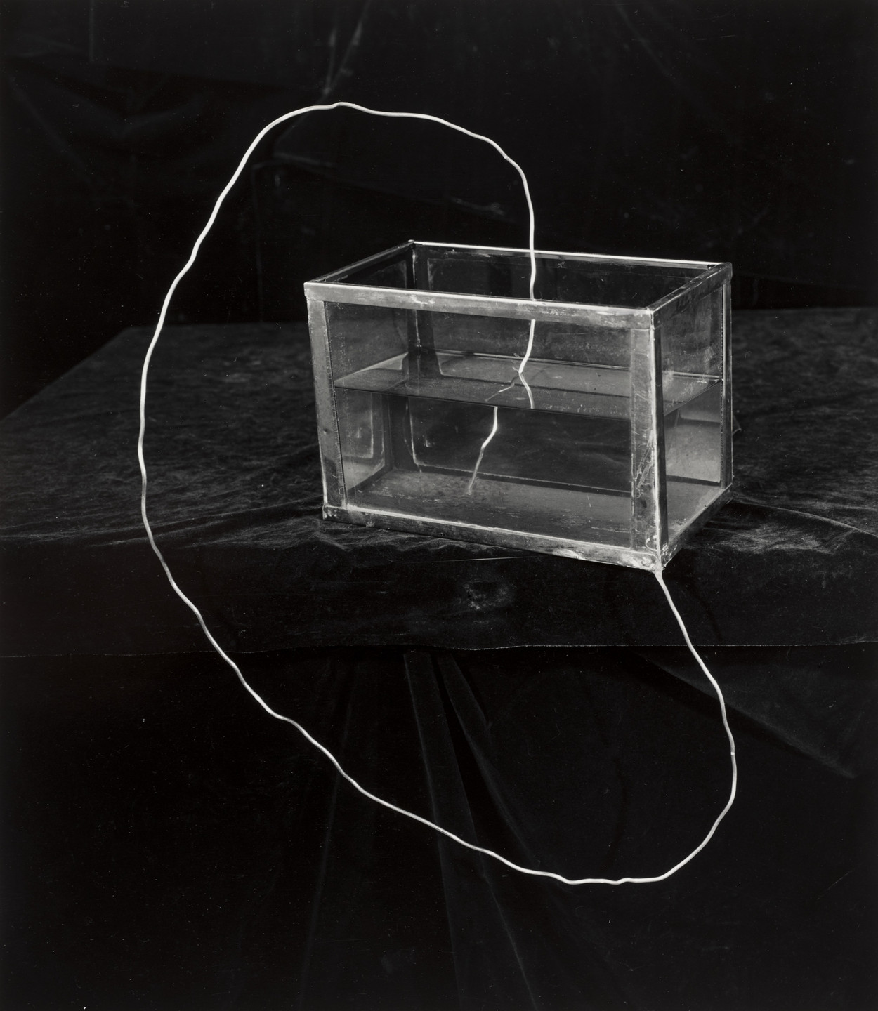 Zeke Berman. Untitled (Tank #2). 1988 | MoMA