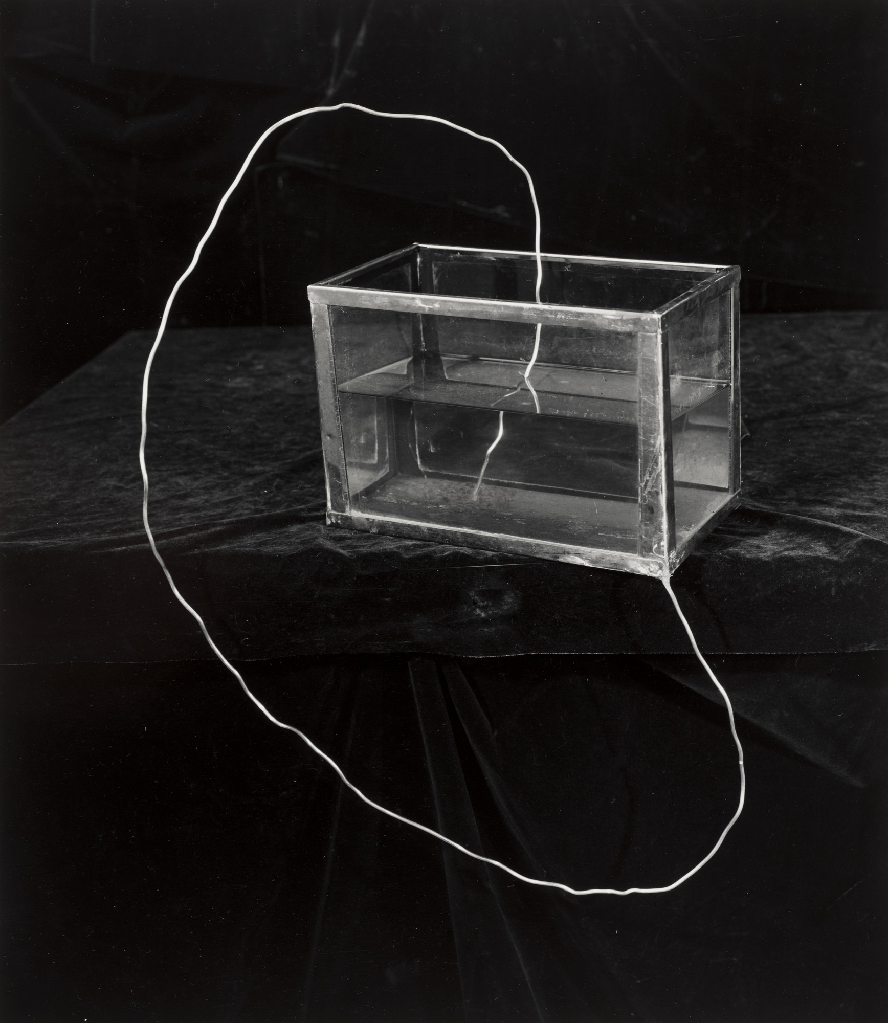 Zeke Berman. Untitled (Tank #2). 1988 | MoMA