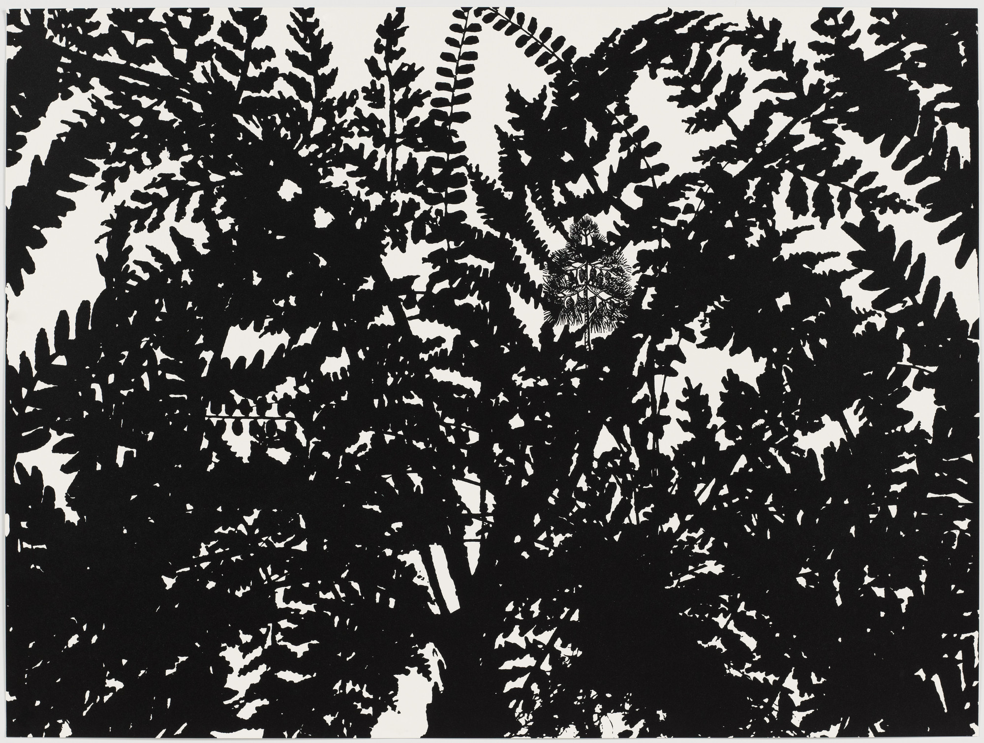 Paul Morrison | MoMA