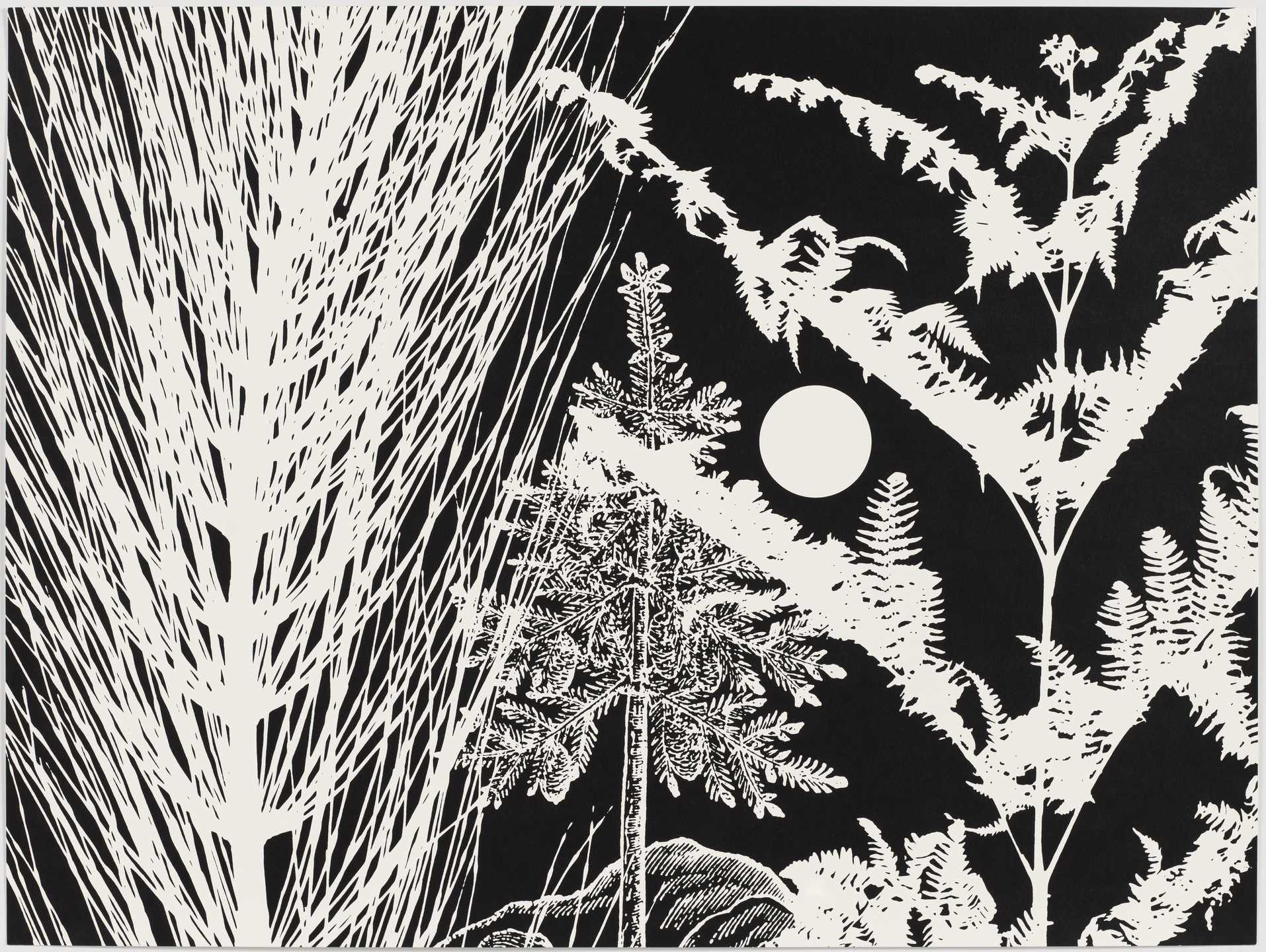 Paul Morrison. Untitled from Black Dahlias. 2002 | MoMA