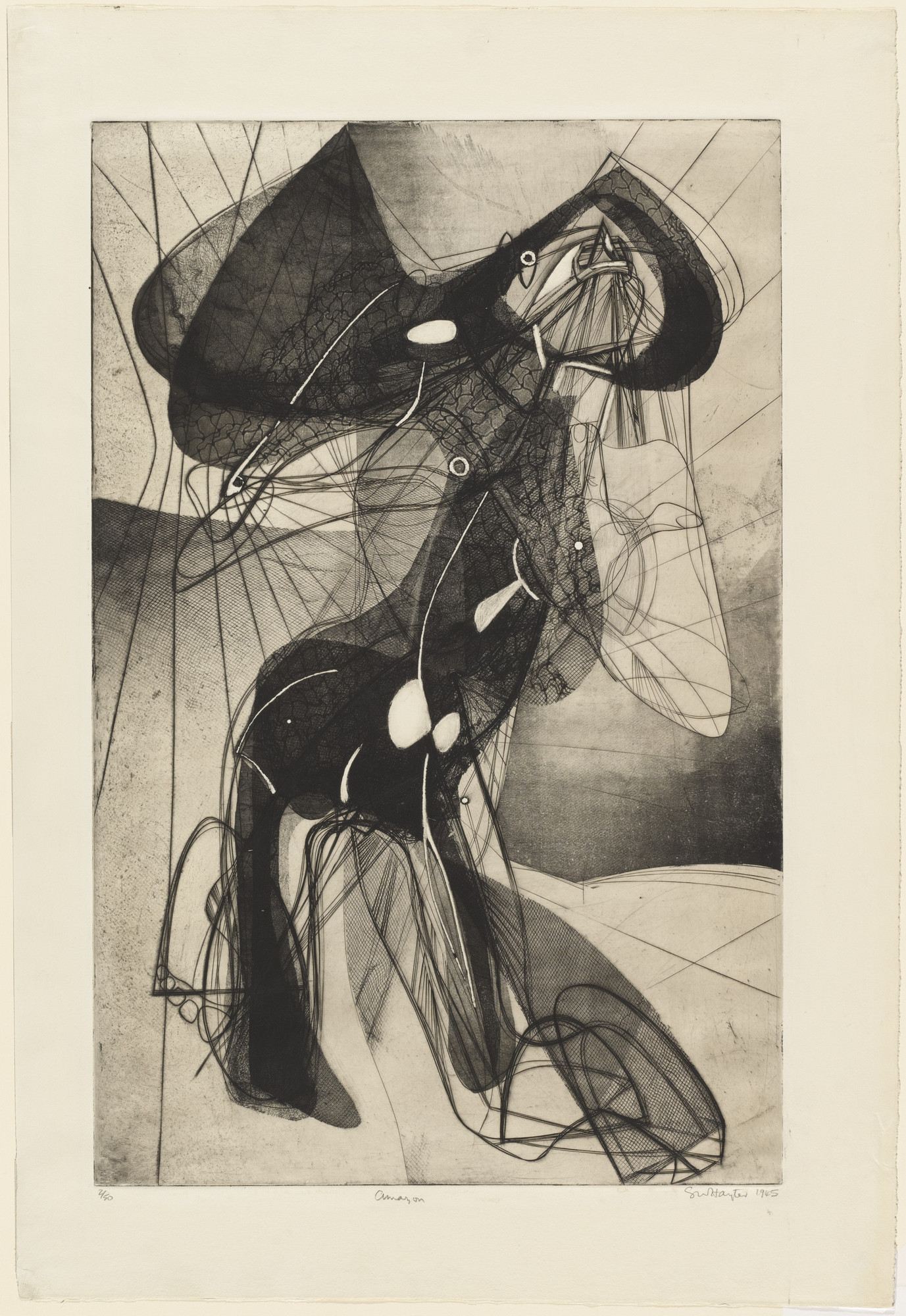 Stanley William Hayter. Amazon. 1945 | MoMA