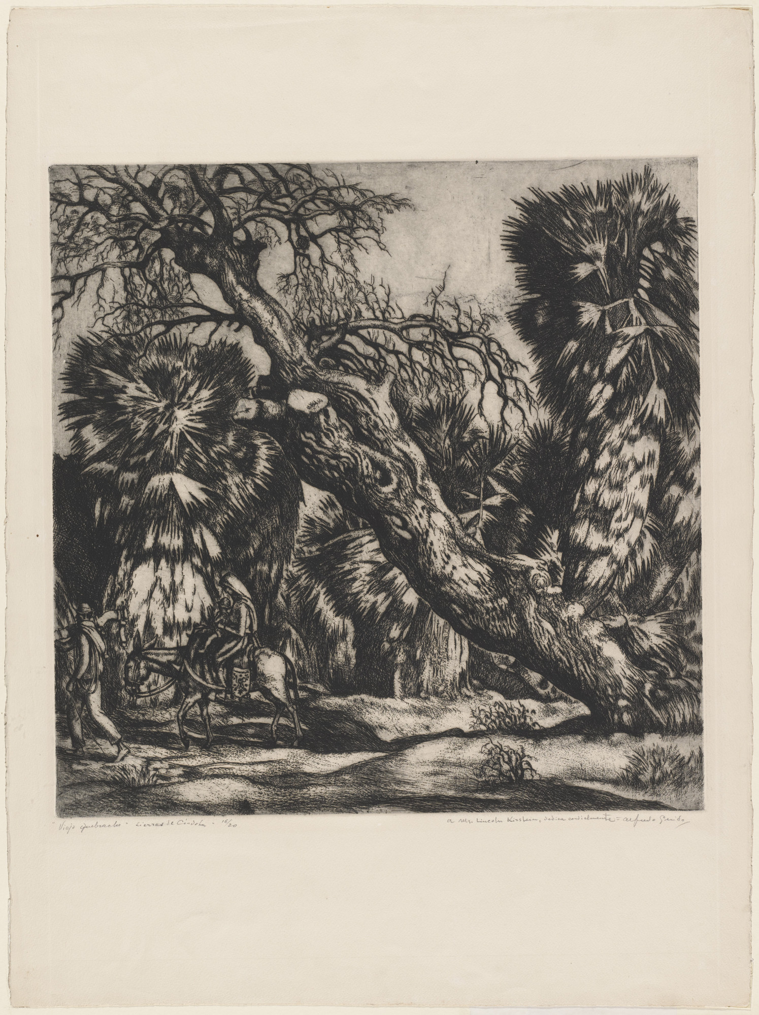 Alfredo Guido. Old Quebracho Tree (Viejo quebracho). 1932 | MoMA