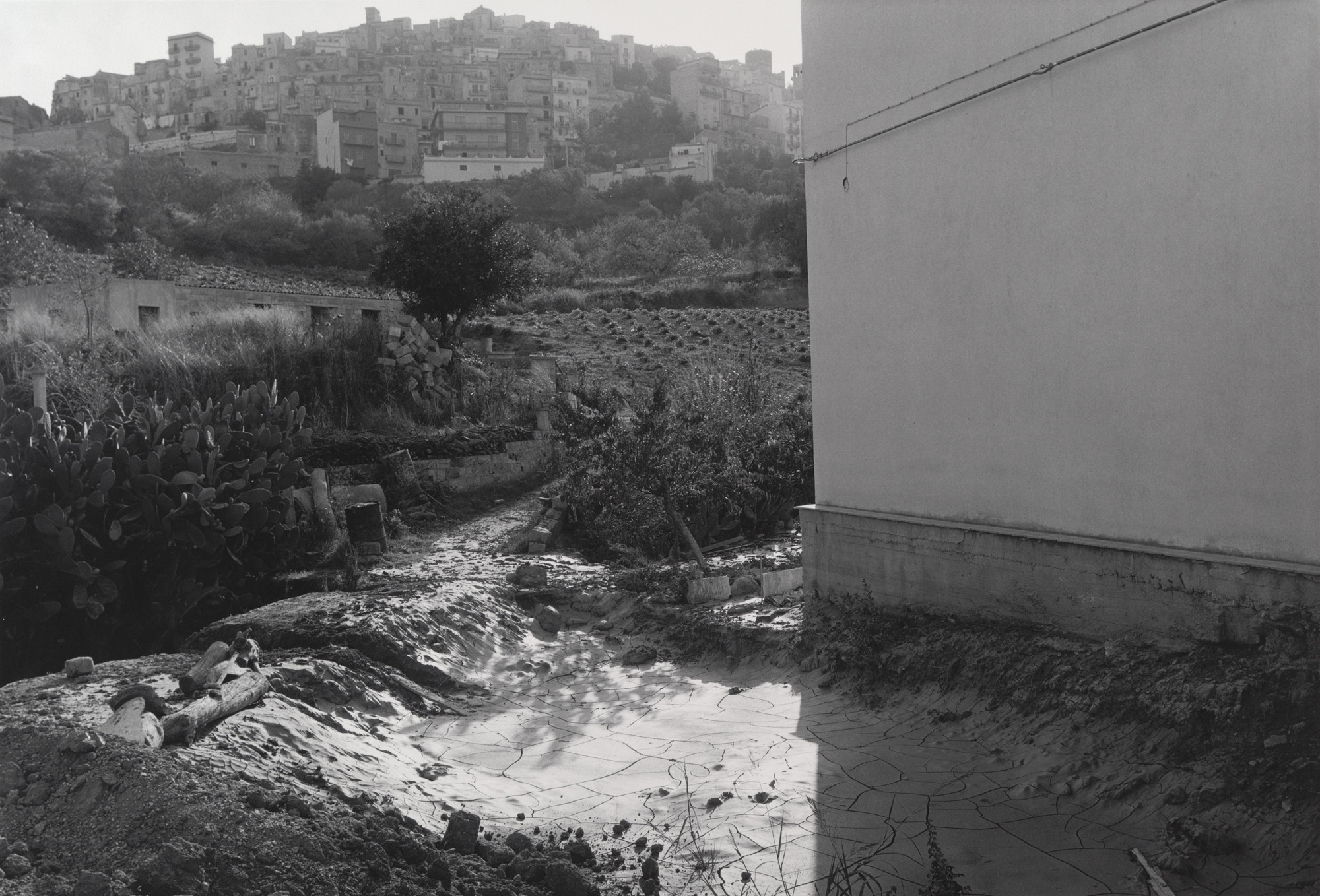 Thomas Roma. Sicily. 1982 | MoMA