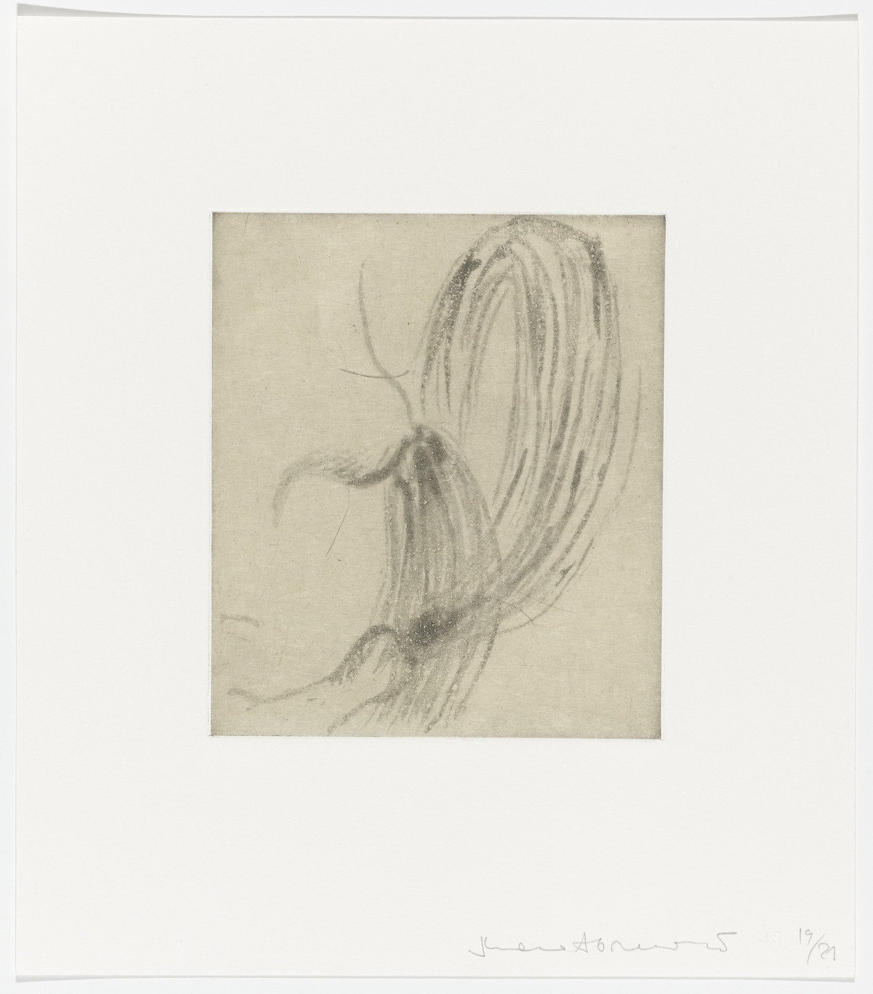 Marina Abramović. Untitled from Spirit Cooking. 1996 | MoMA