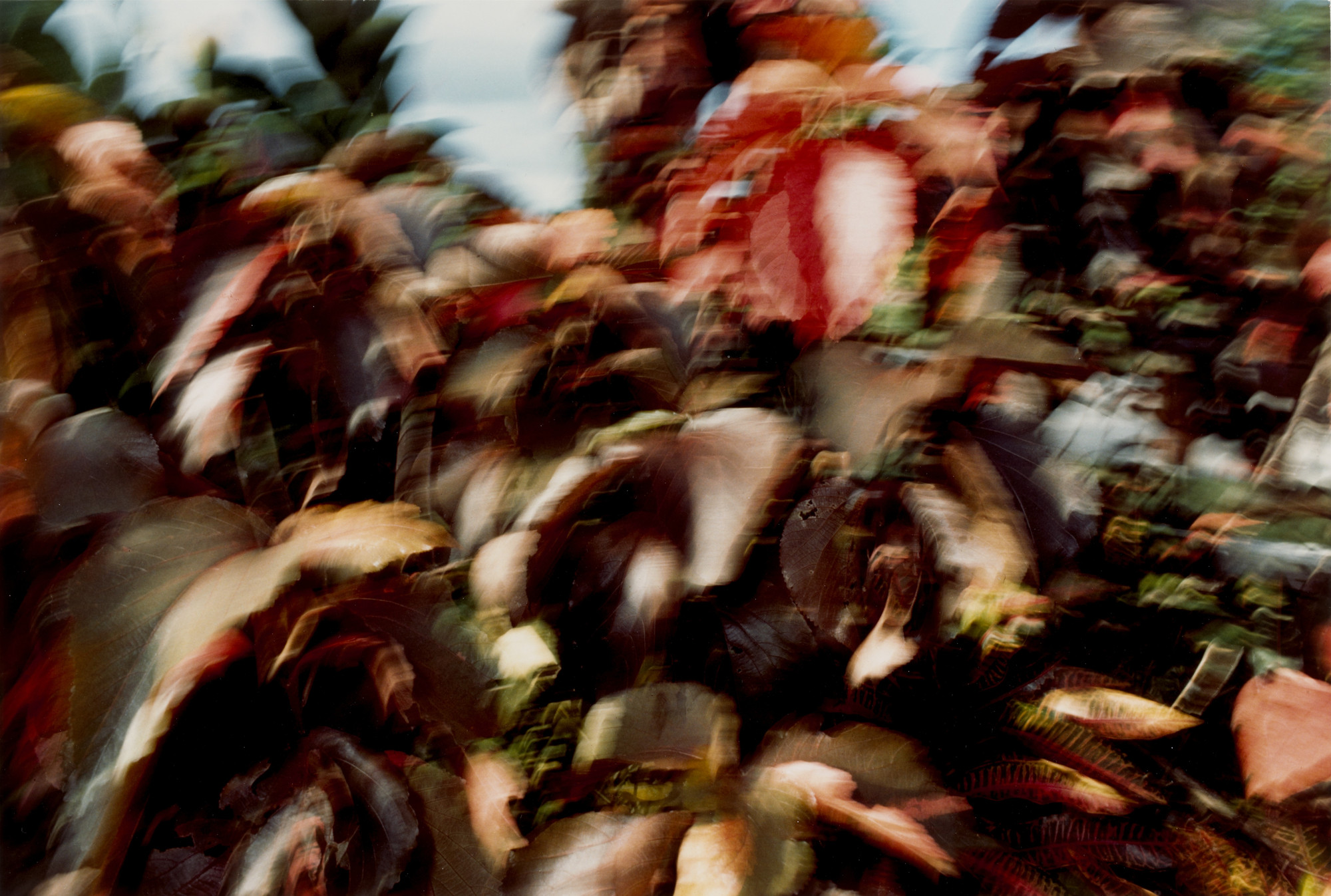 Avery Coffey Danziger. K-9 Dream #7. 1978 | MoMA