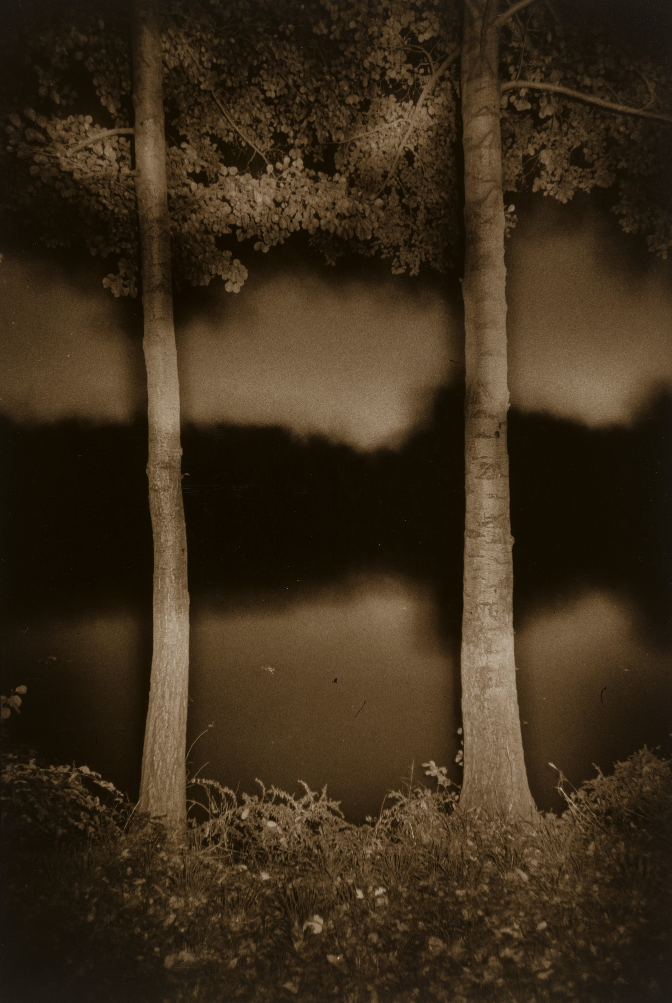 Richard M. Margolis | MoMA