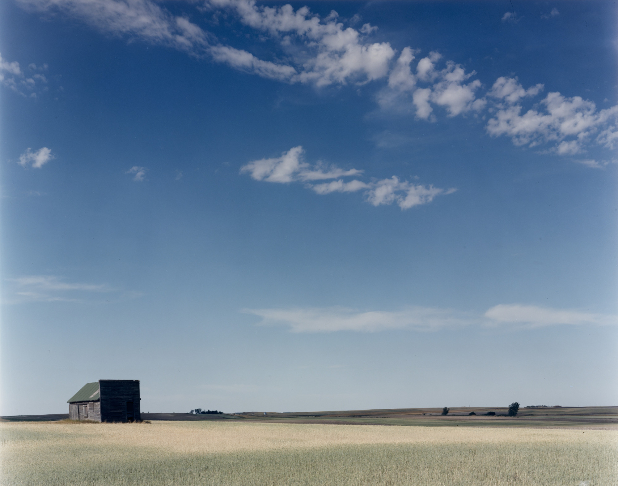 Peter Brown. Untitled. 1985 | MoMA