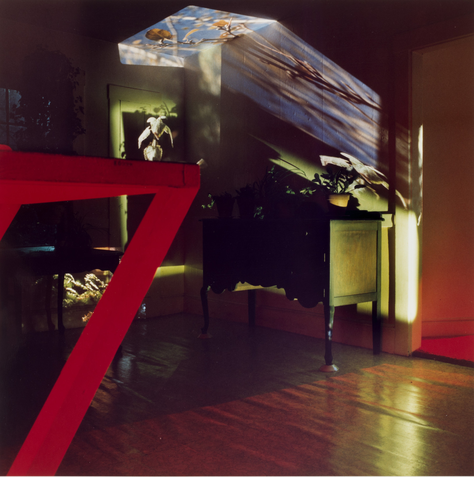 Lorie Novak. Untitled. 1980 | MoMA