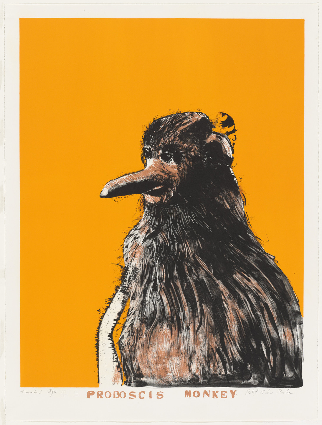 Robert Andrew Parker. Proboscis Monkey. 1967 | MoMA
