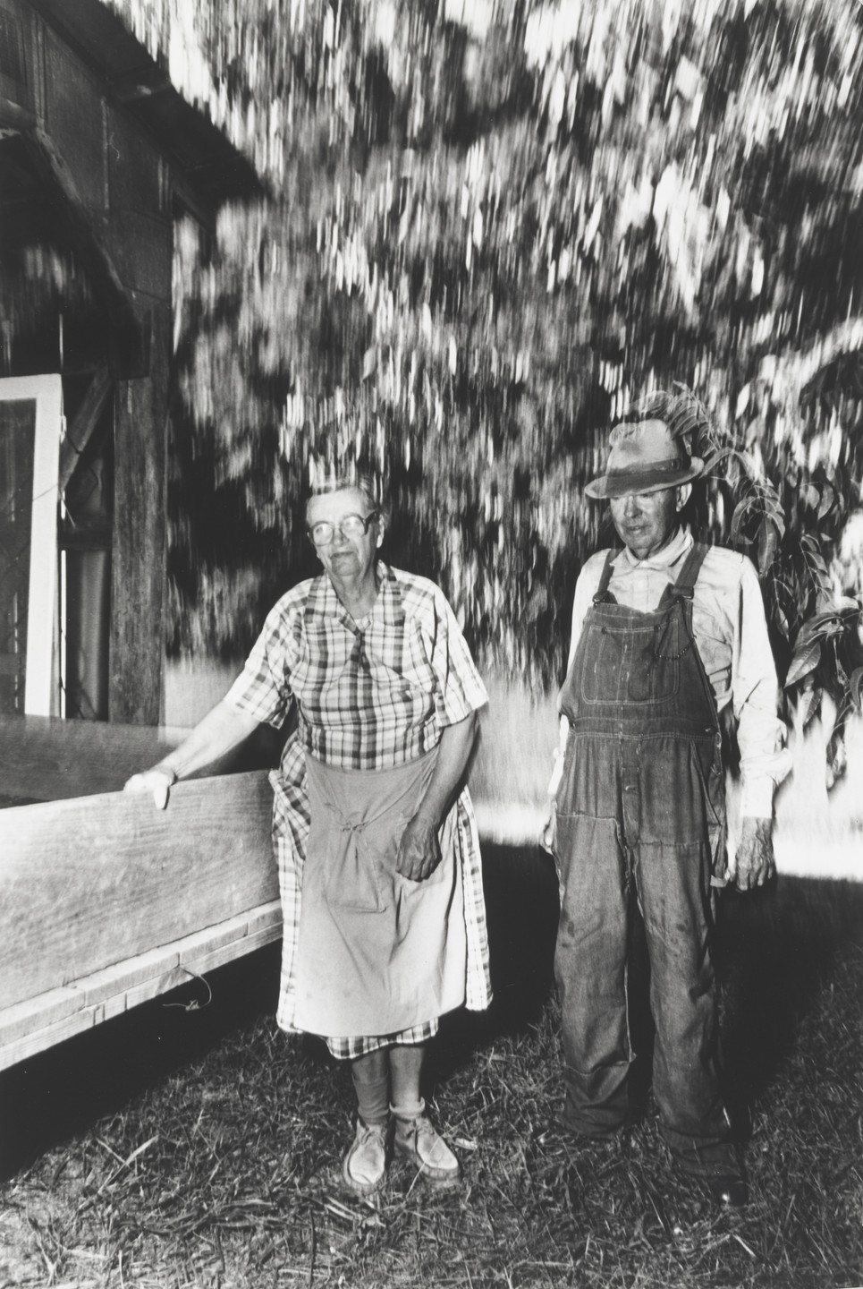 Thomas Tulis. Untitled. 1987 | MoMA