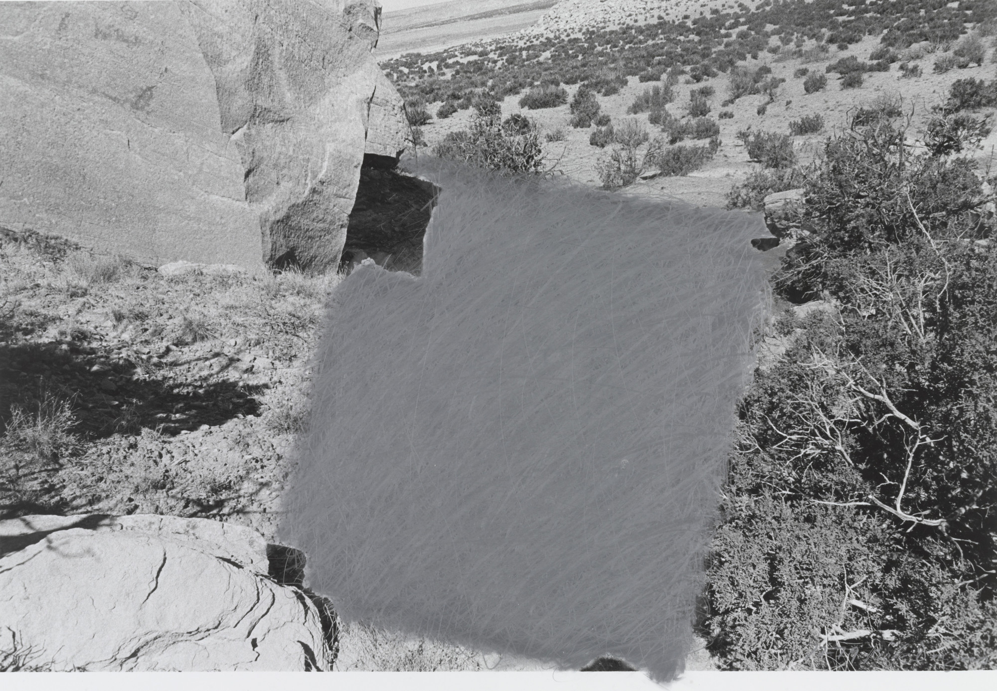 Rick Dingus. Untitled. c. 1982 | MoMA