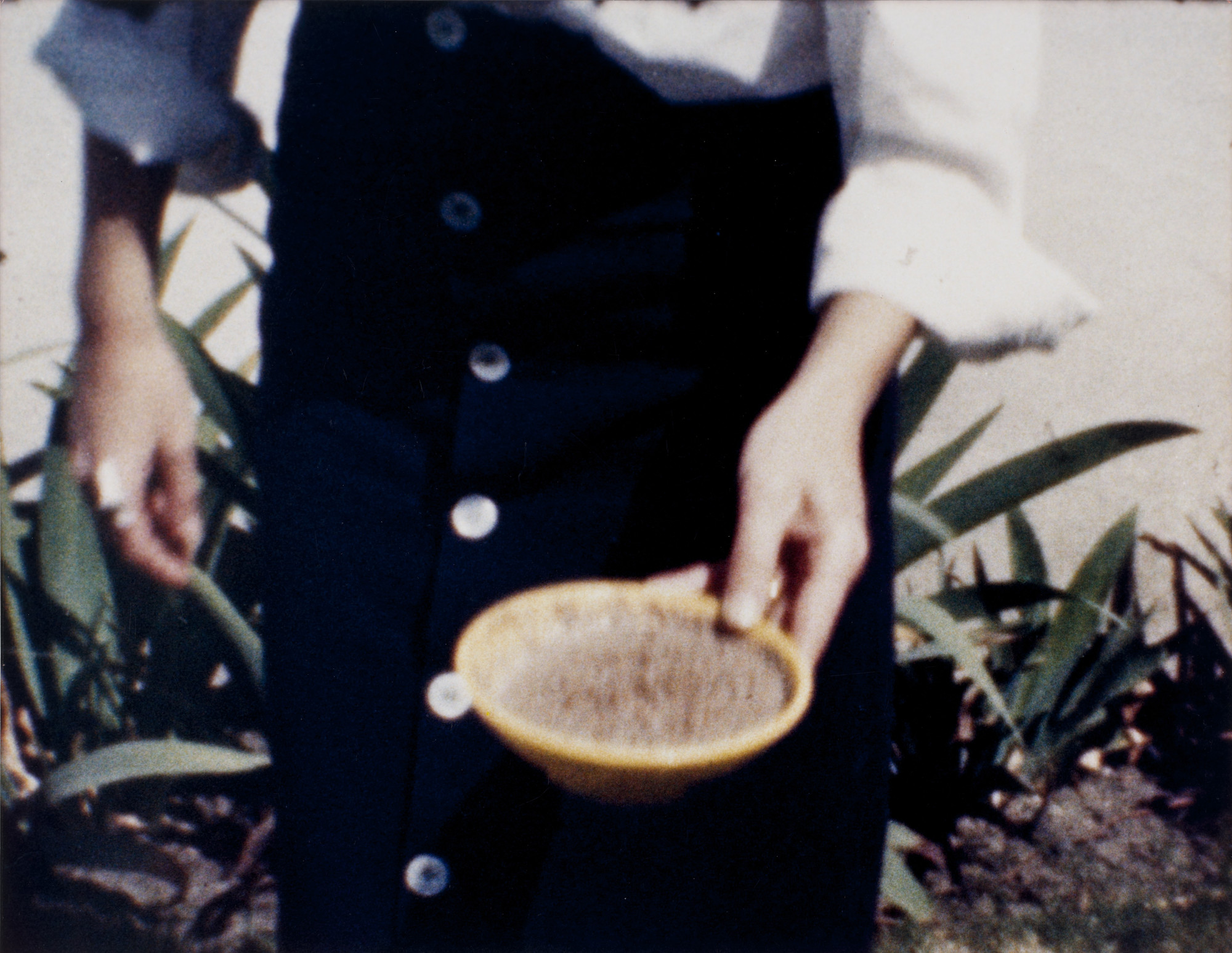 Larry Sultan. Film Still from the Sultan Family Home Movies. 1943-72 | MoMA