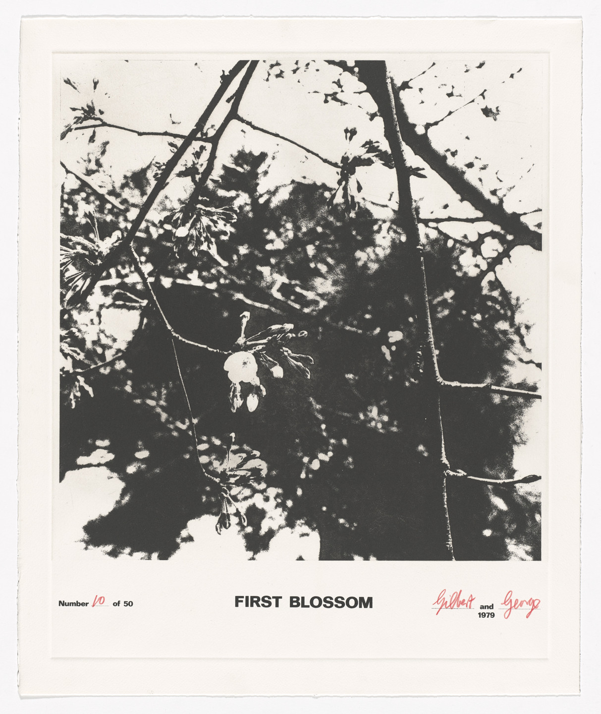 Gilbert & George, Gilbert Proesch, George Passmore. First Blossom. 1979 ...