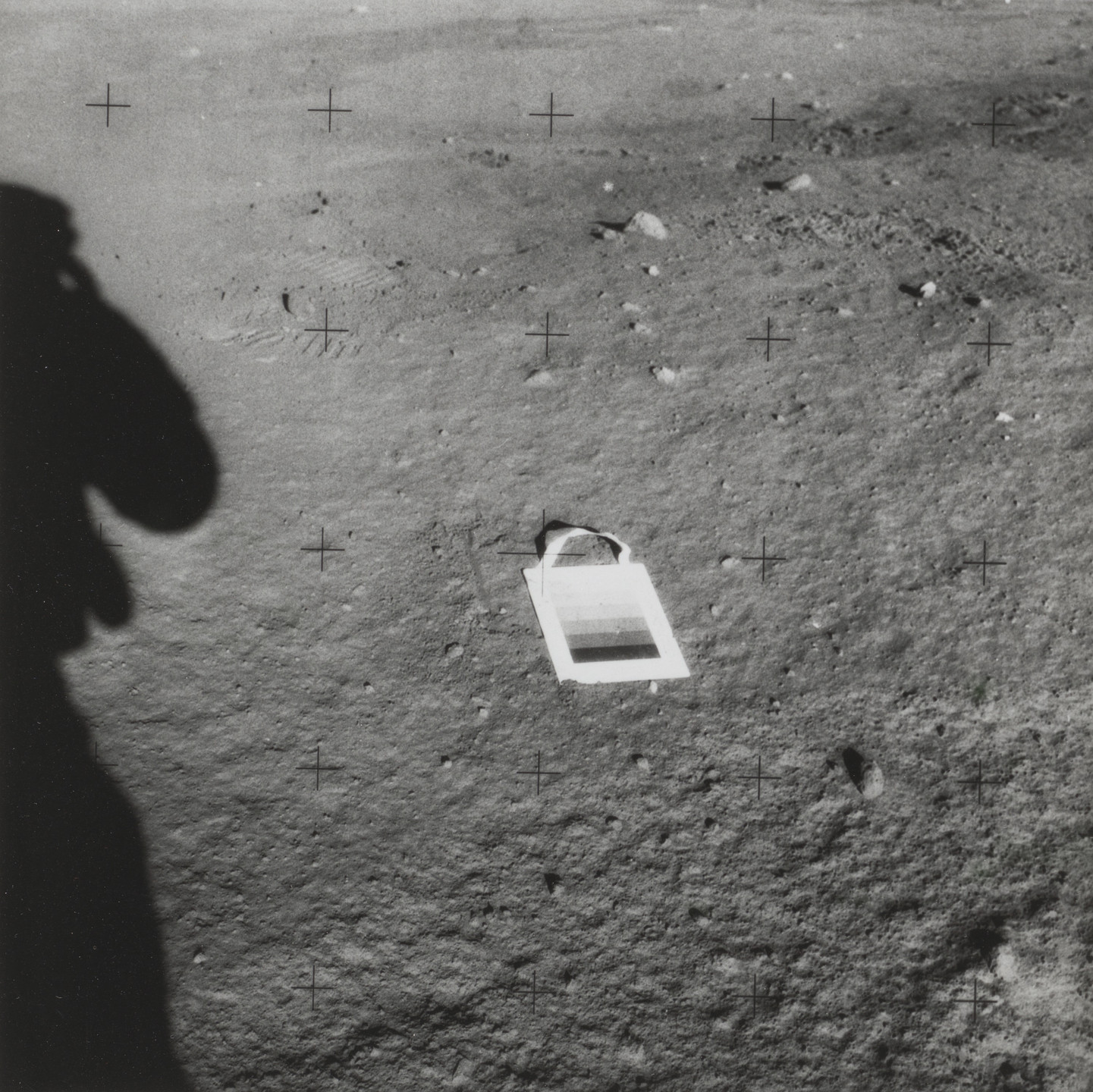 NASA. Untitled photograph from the Apollo 12 mission. November 1969 | MoMA