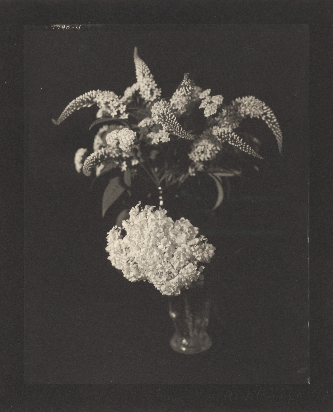 Victor Schrager. Untitled. 1990 | MoMA